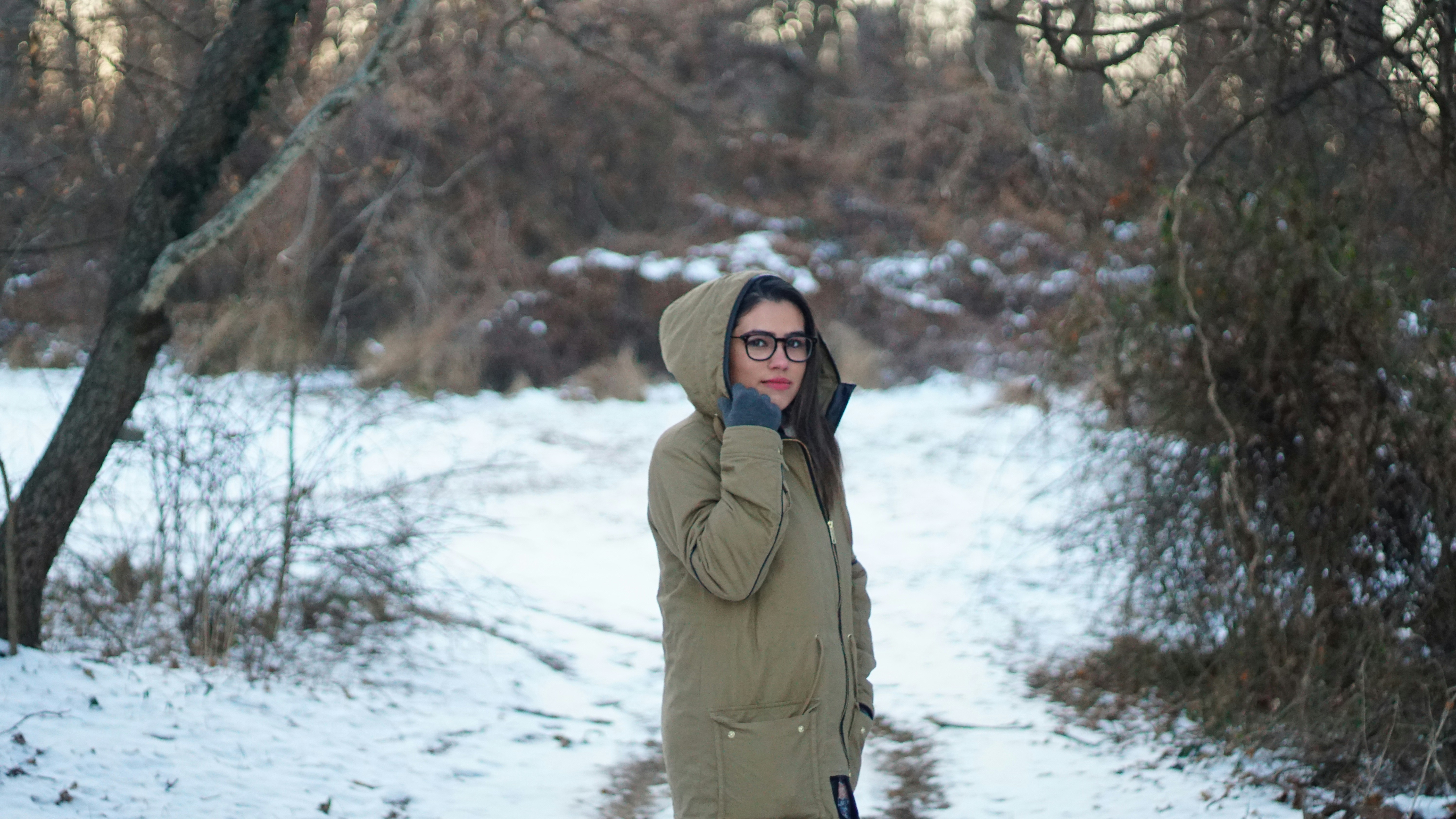 Midwinter Gaze: A Solo Portrait in Snow-Dusted Thicket