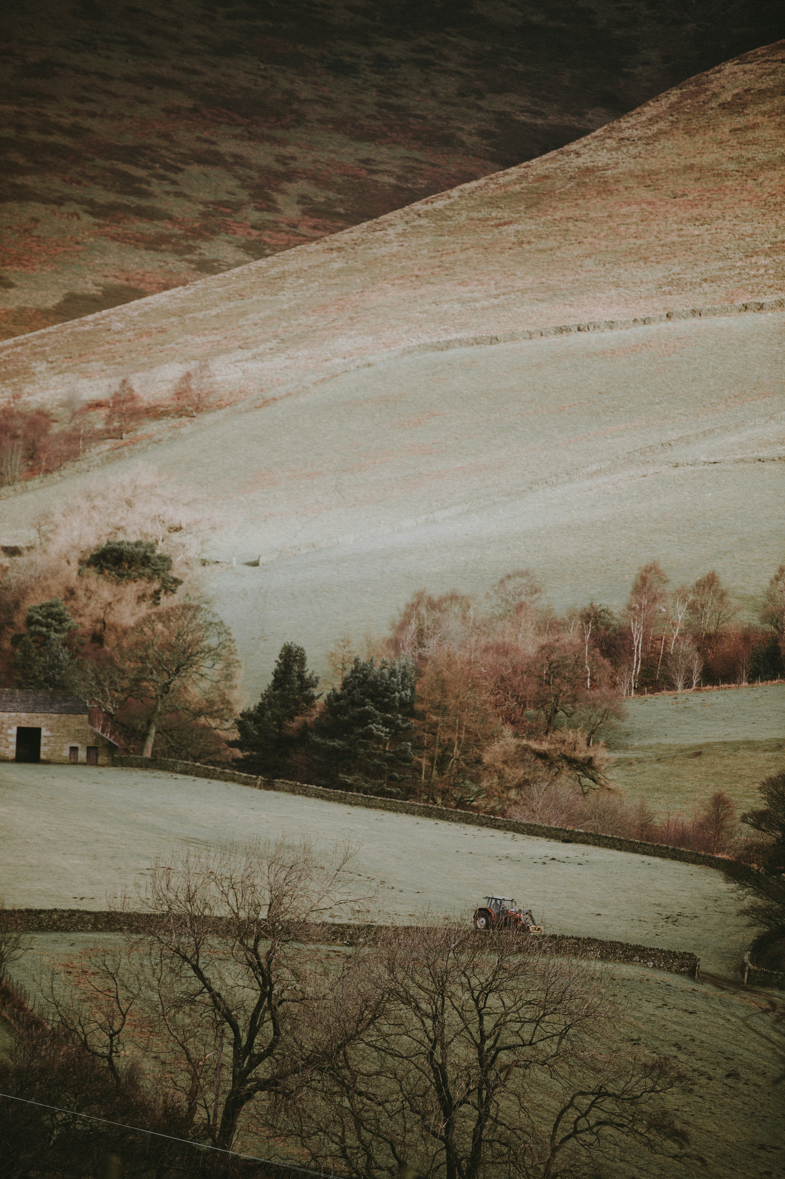 A serene rural landscape showcasing gently sloping hills, dotted with trees and a distant tractor. The muted colors evoke a tranquil atmosphere.