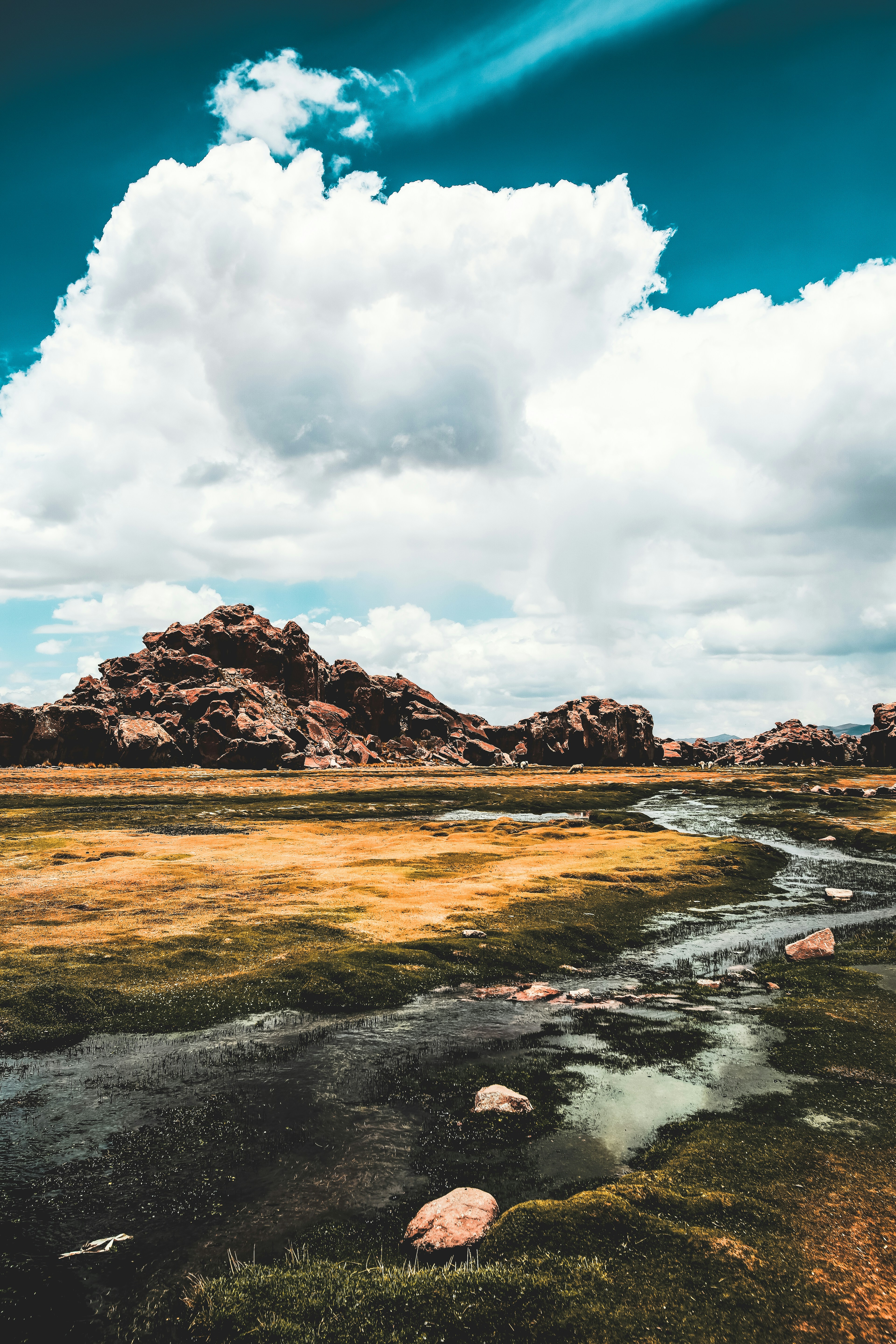 Rugged shoreline beneath a sweeping sky