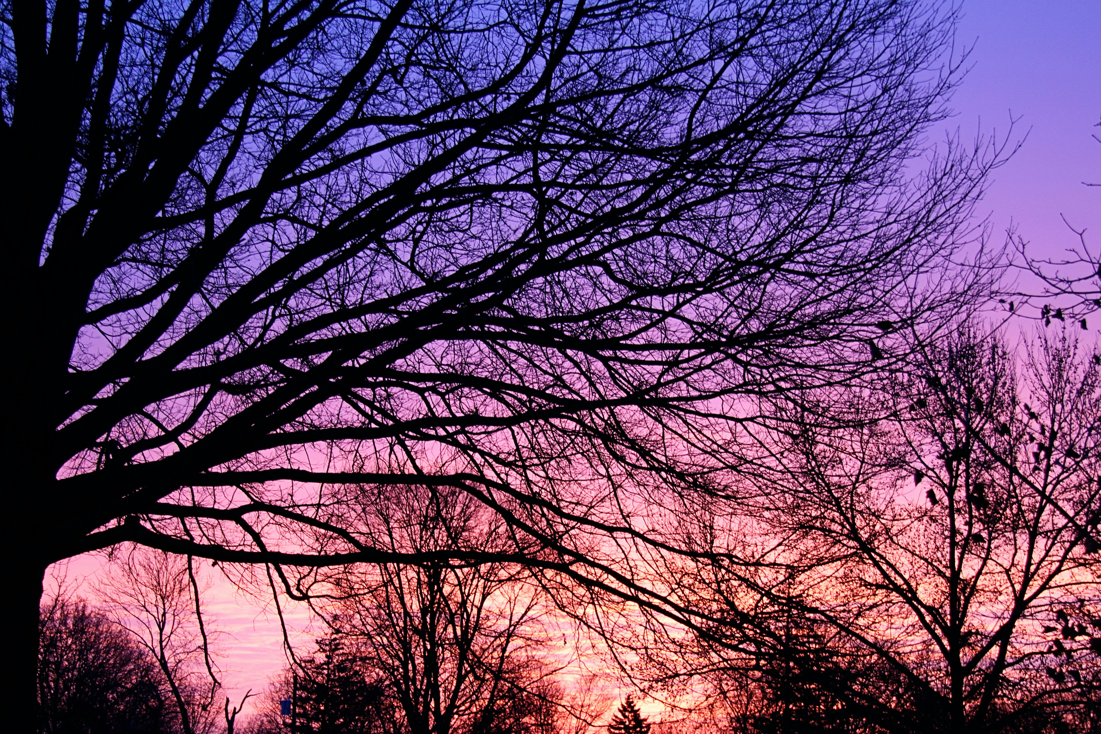 Melanie Hughes (@nutsycoco) | Communauté photos Unsplash