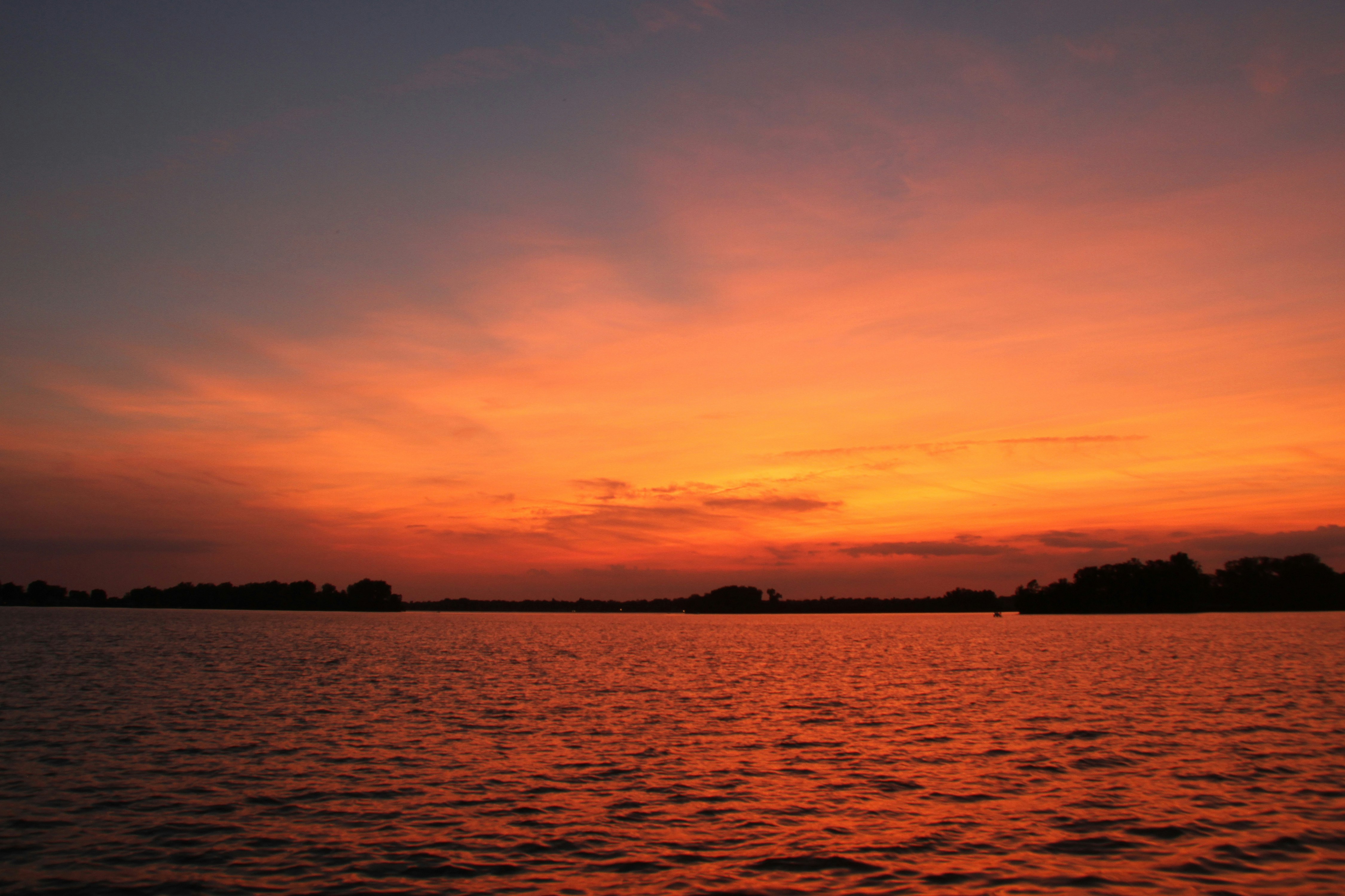 Melanie Hughes (@nutsycoco) | Unsplashフォトコミュニティ