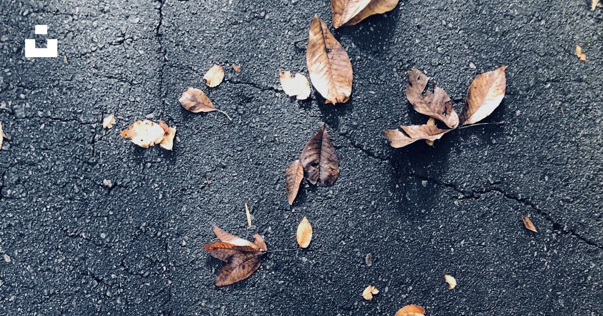 검은 가죽 플랫을 입은 여자가 시든 나뭇잎 근처의 포장 도로에 서 있습니다 사진 Unsplash의 무료 타맥 이미지