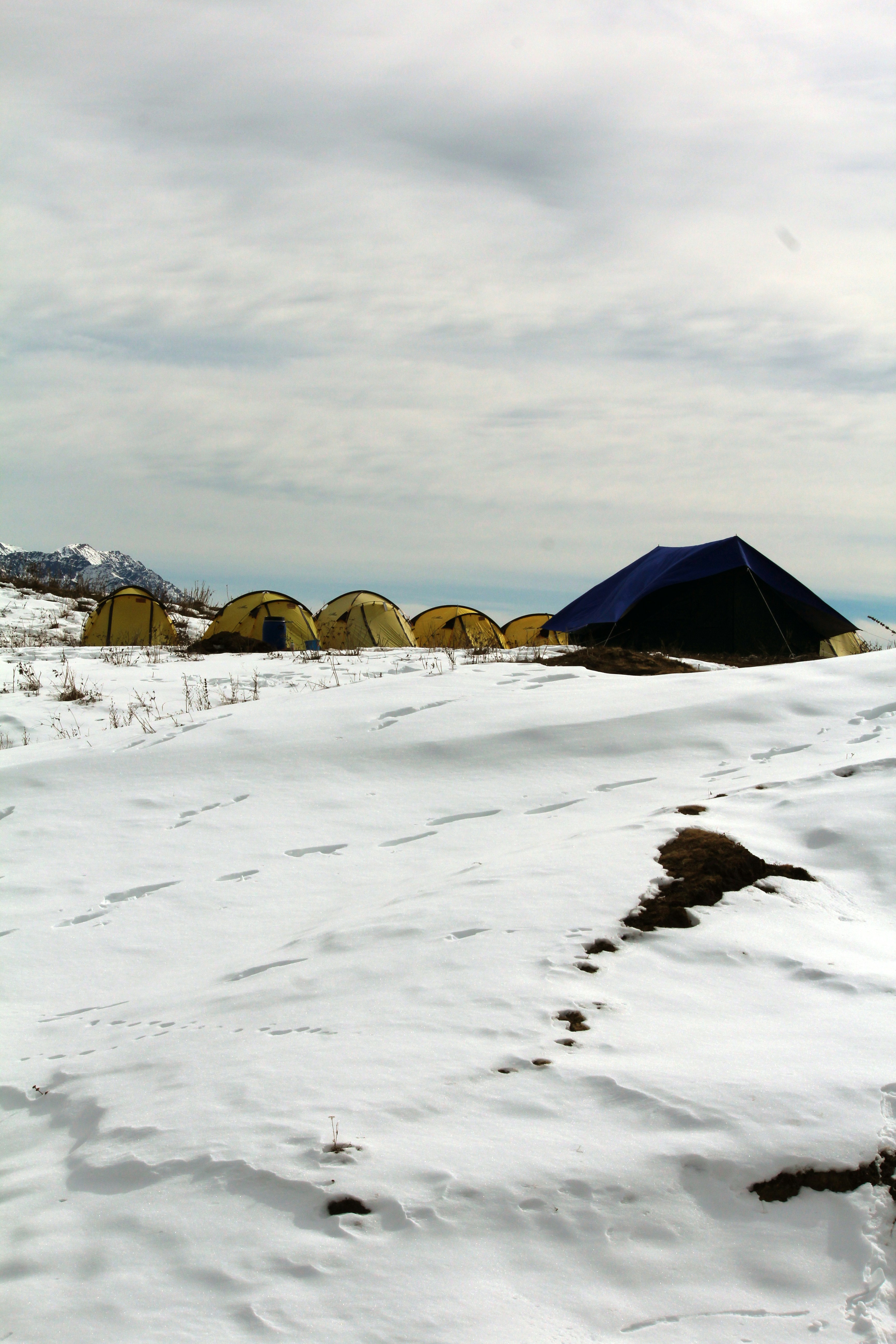 A cluster of yellow tents stands against a backdrop of snow-covered terrain and a cloudy sky, showcasing a winter camping scene.