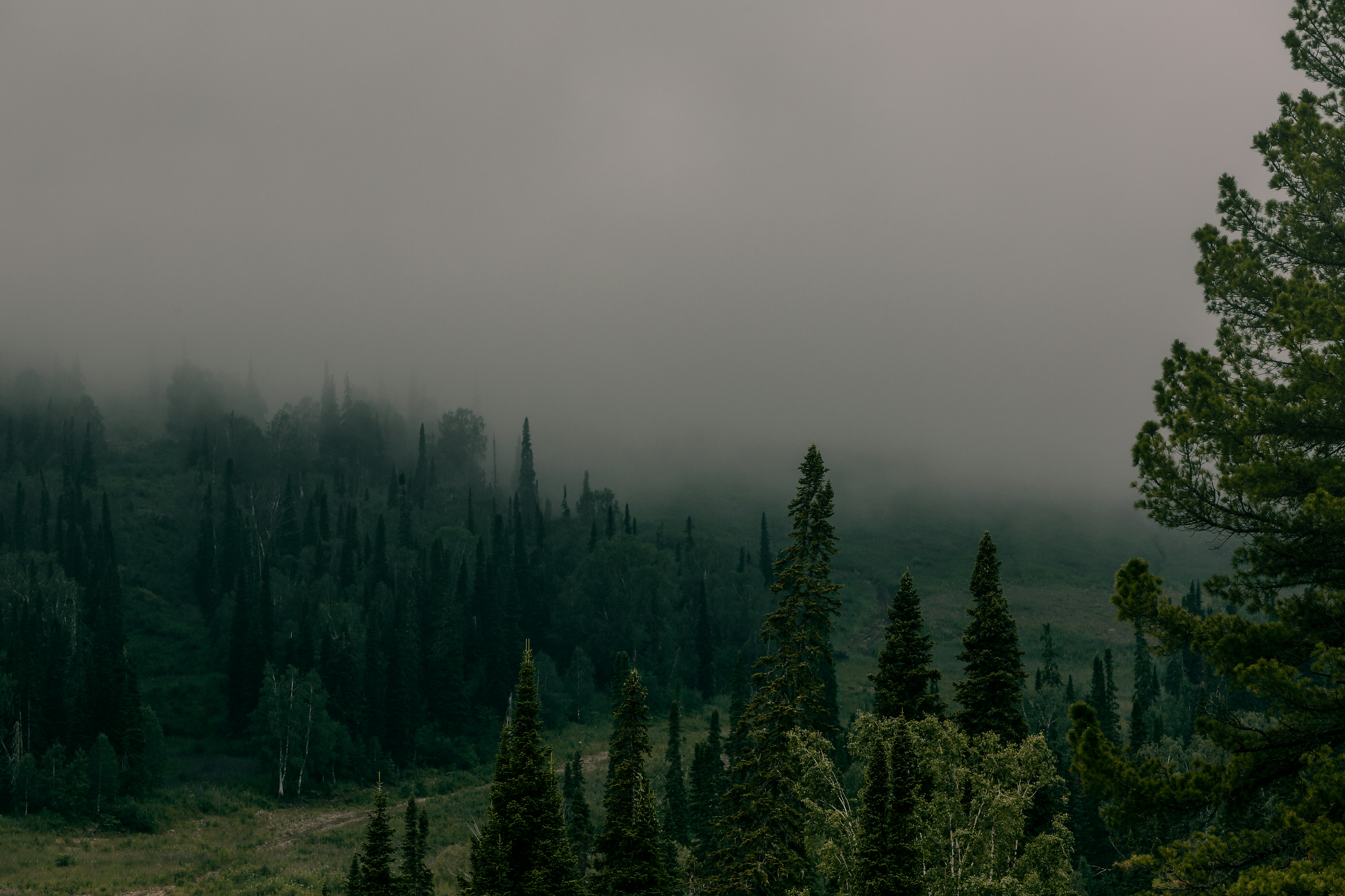 Ursula Drake (@ursuladrake) | Unsplashフォトコミュニティ