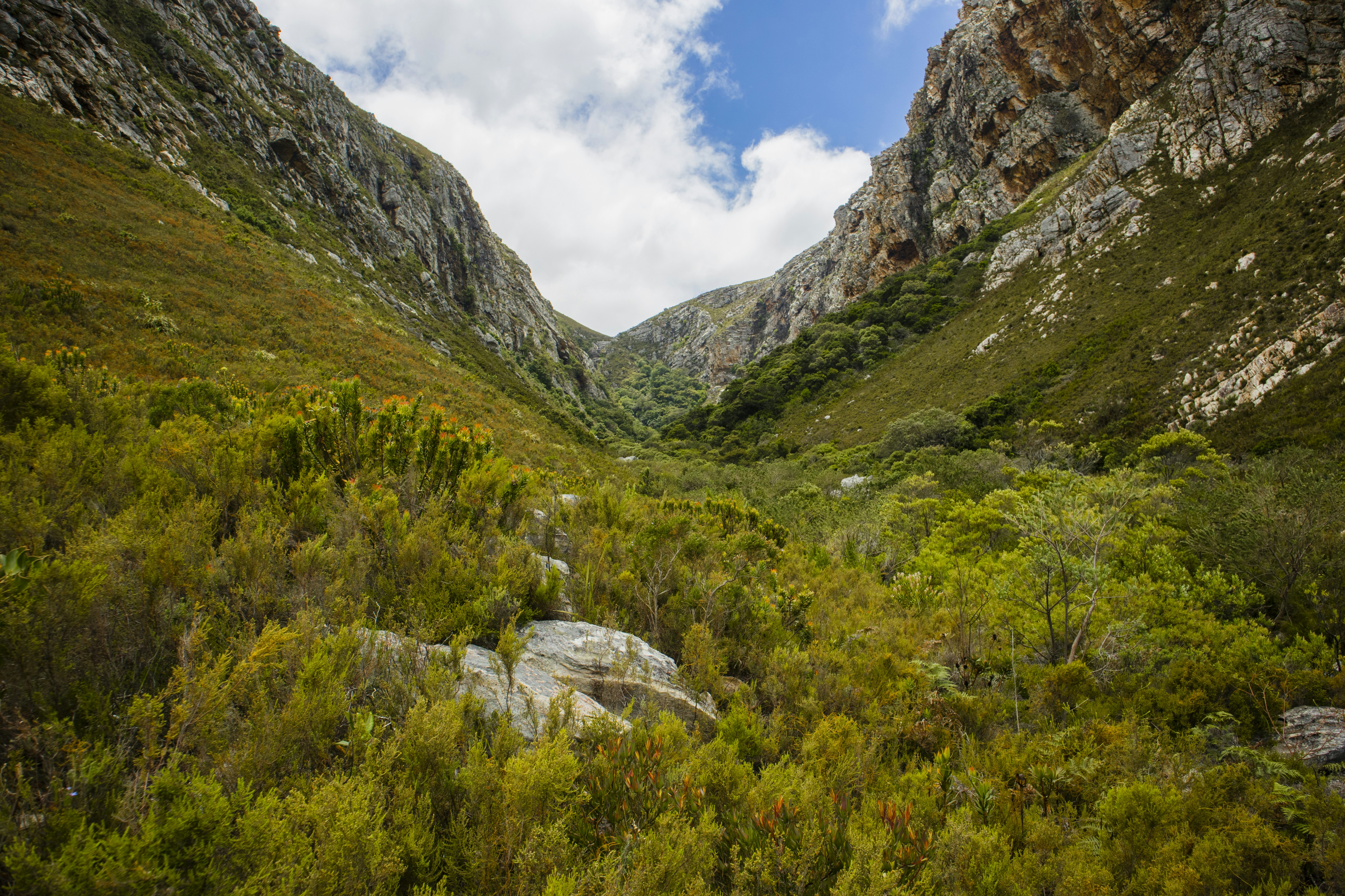 A view of a valley in the middle of a mountain range photo – Free ...