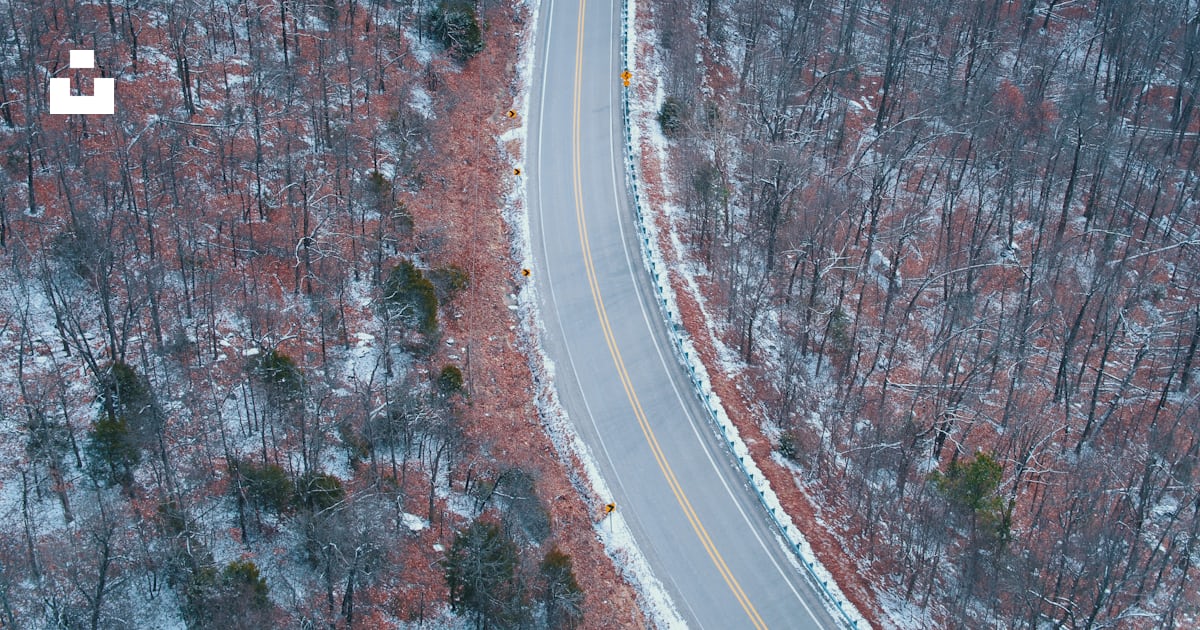 昼間の裸木に囲まれた灰色のコンクリート道路の航空写真の写真 Unsplashの森の無料画像
