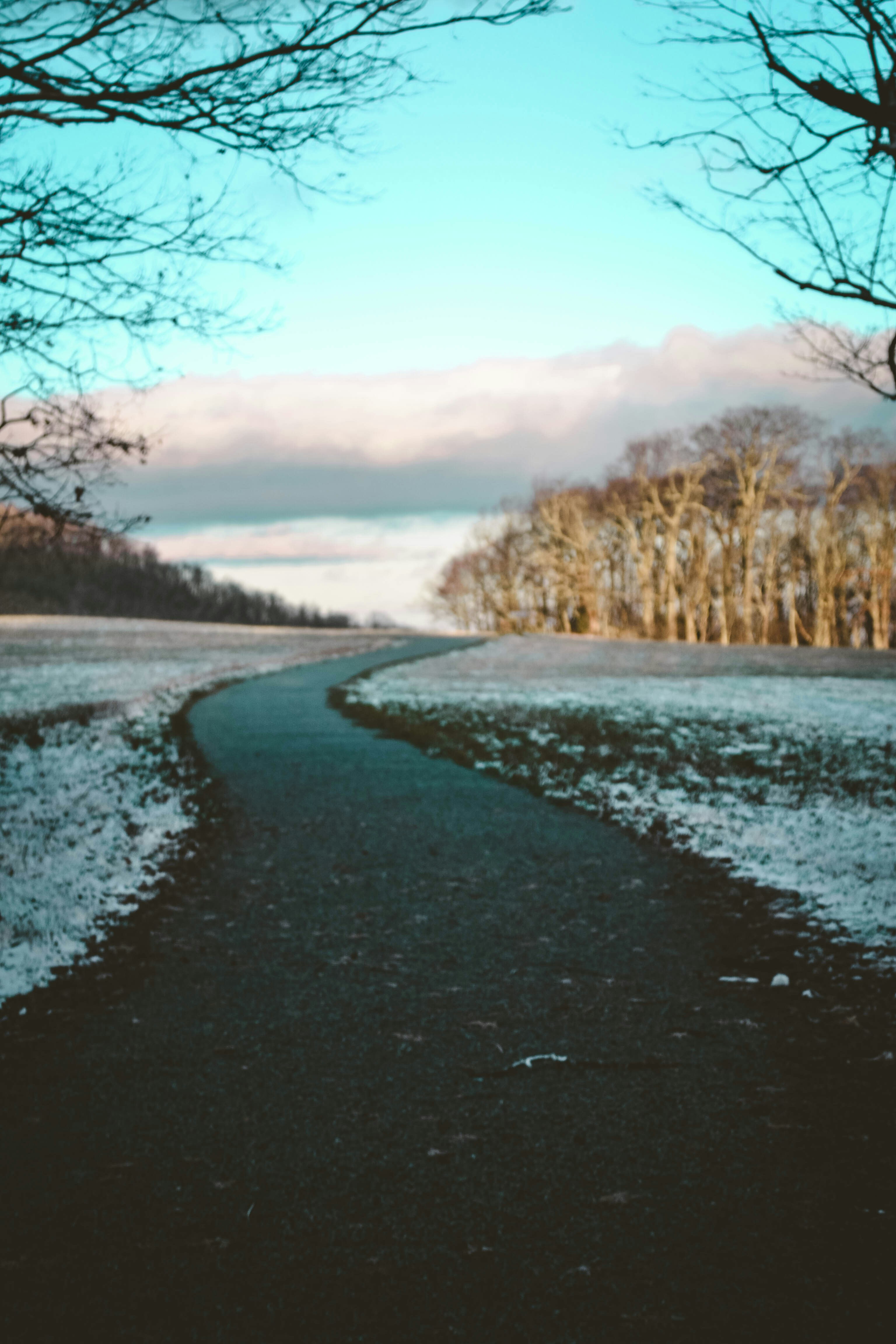 McKenna Estes (@mestes) | Comunidade de fotos da Unsplash