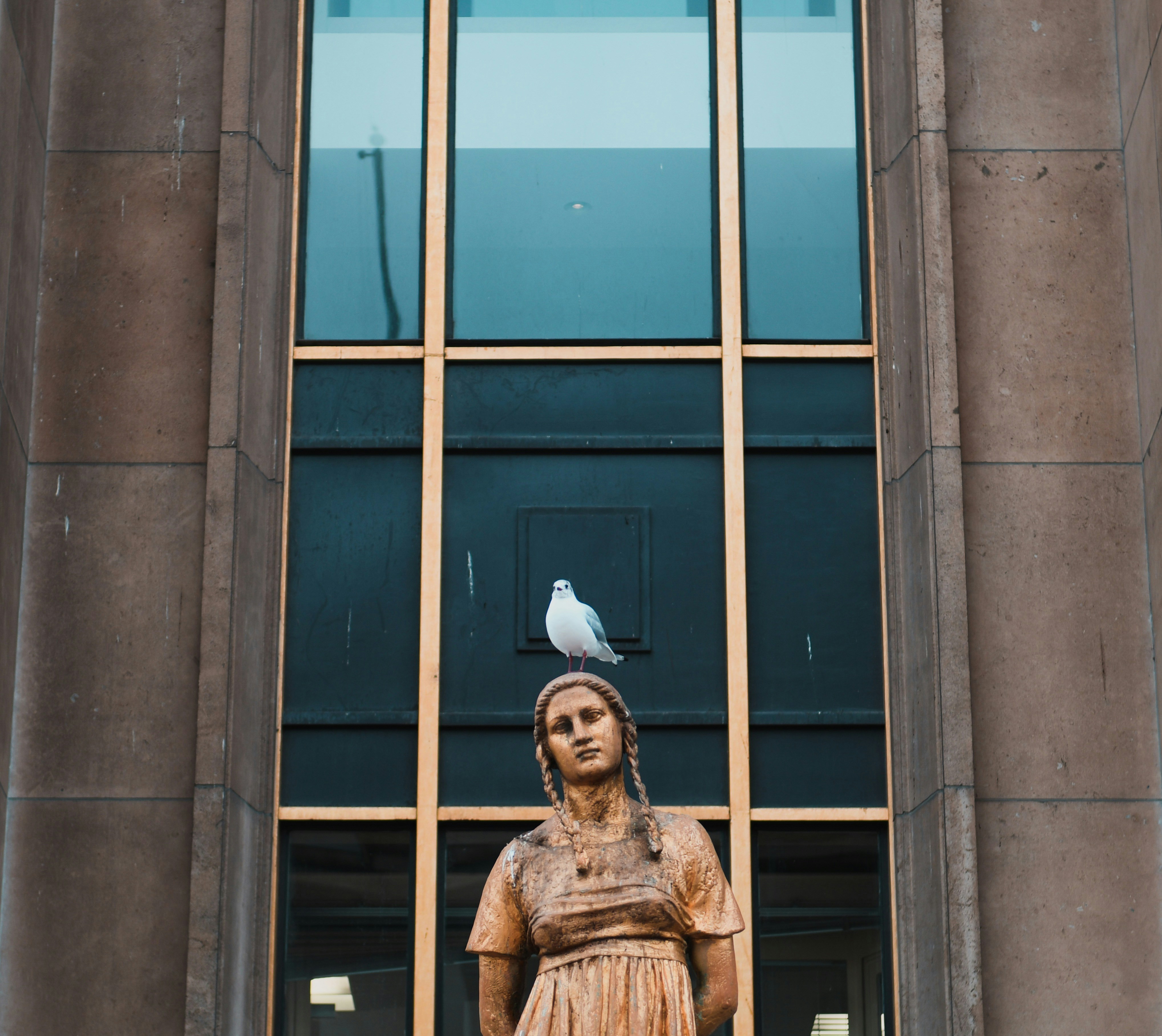 Seagull Sentinel Over a Bronze Figure Framed by a Glass Grid