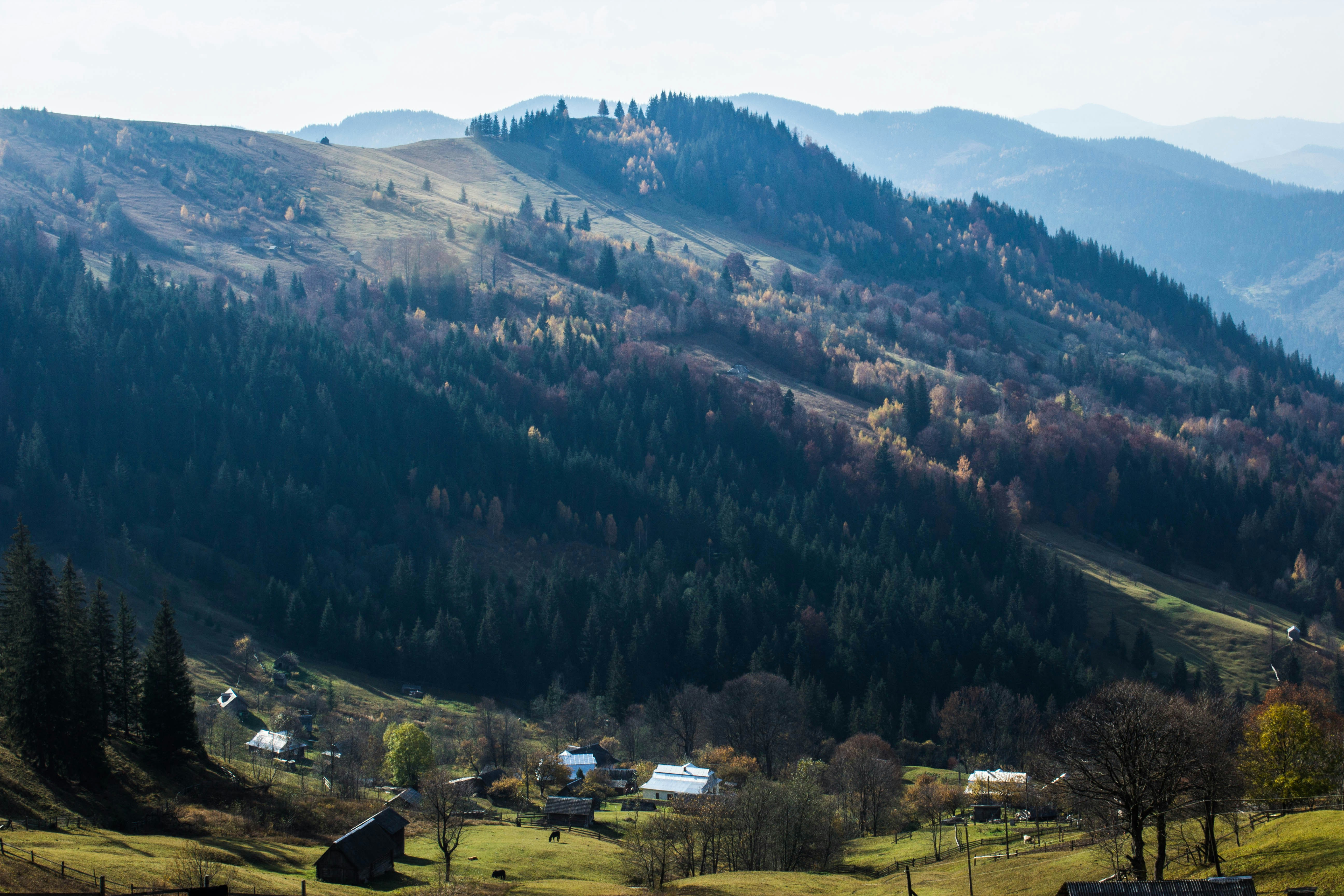 Rolling hills with scattered autumn foliage and a small village nestled in a serene valley.