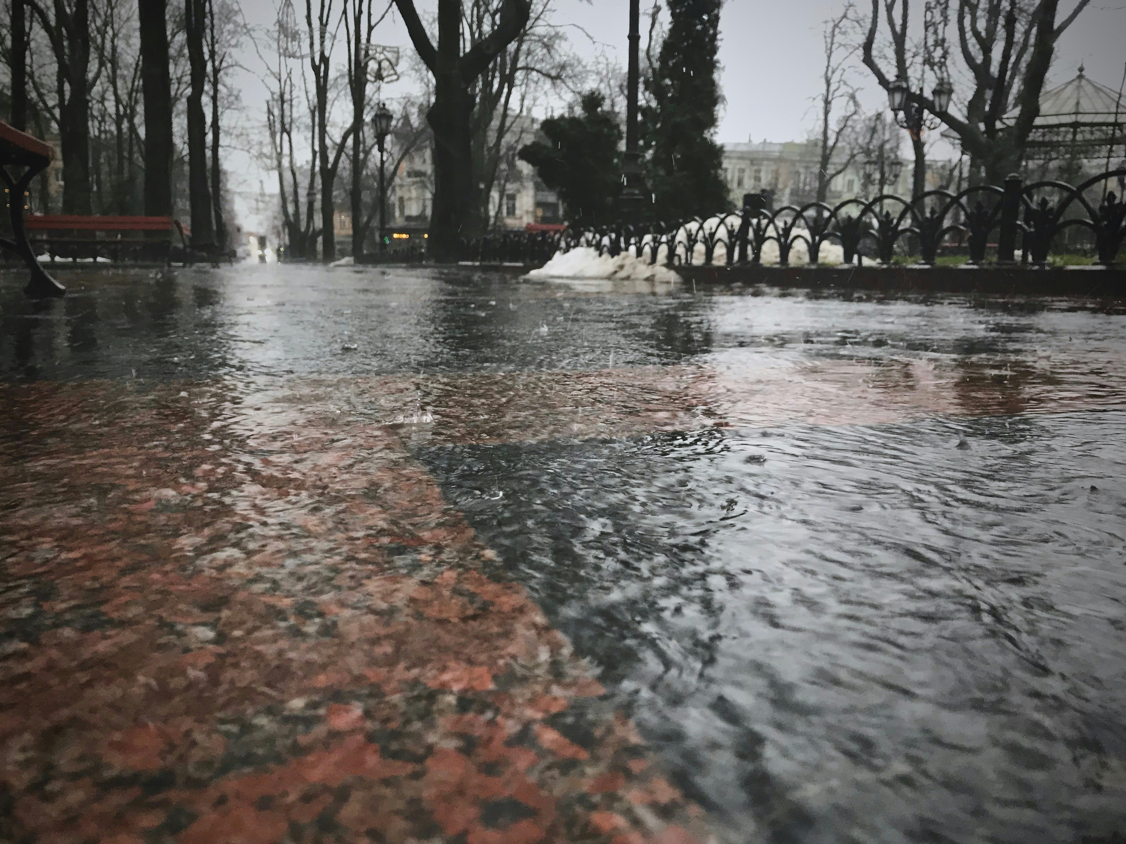 Urban Symphony of Rain