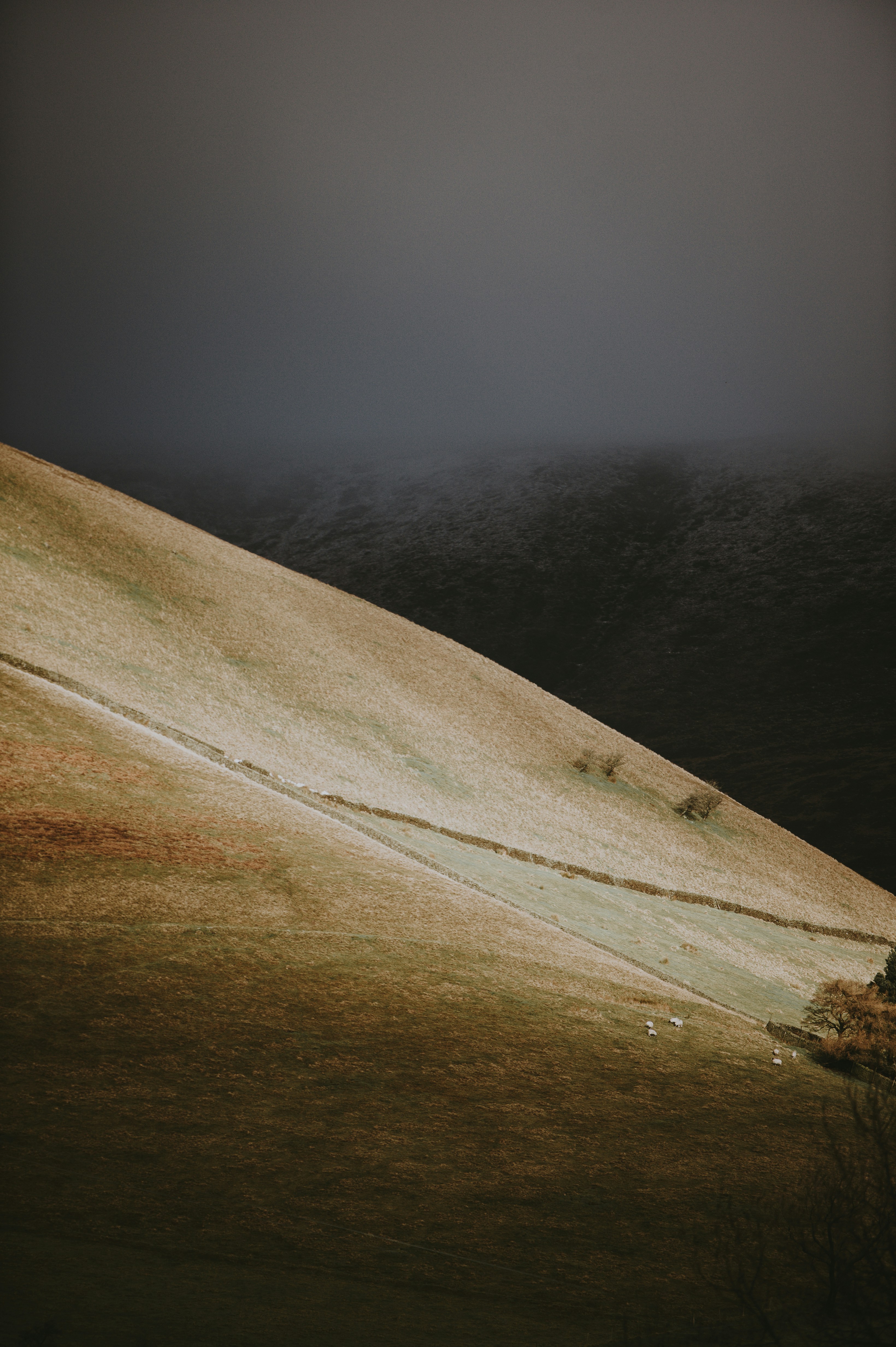 Light on the hillside