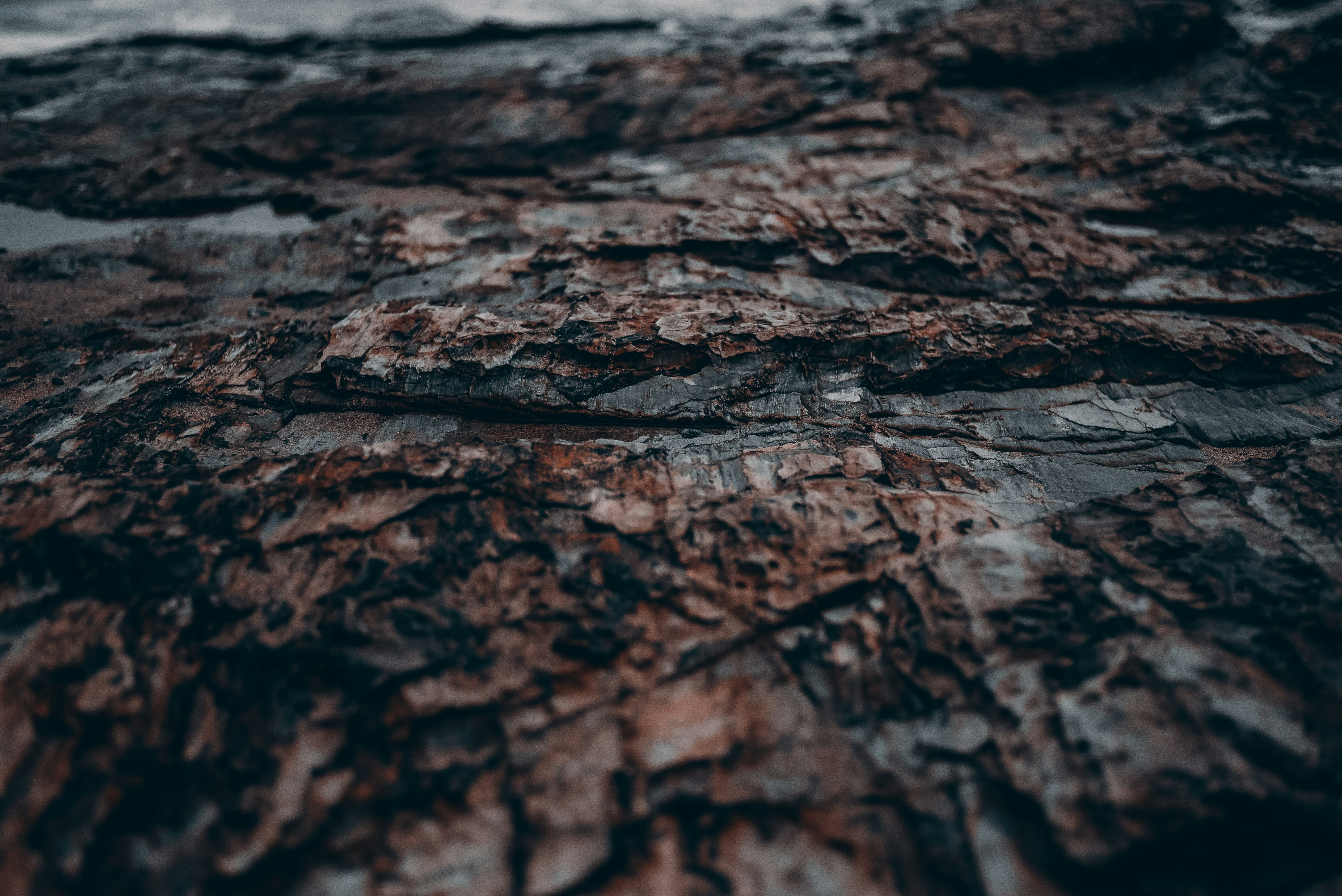 A close up of a rock face with water in the background photo – Free ...
