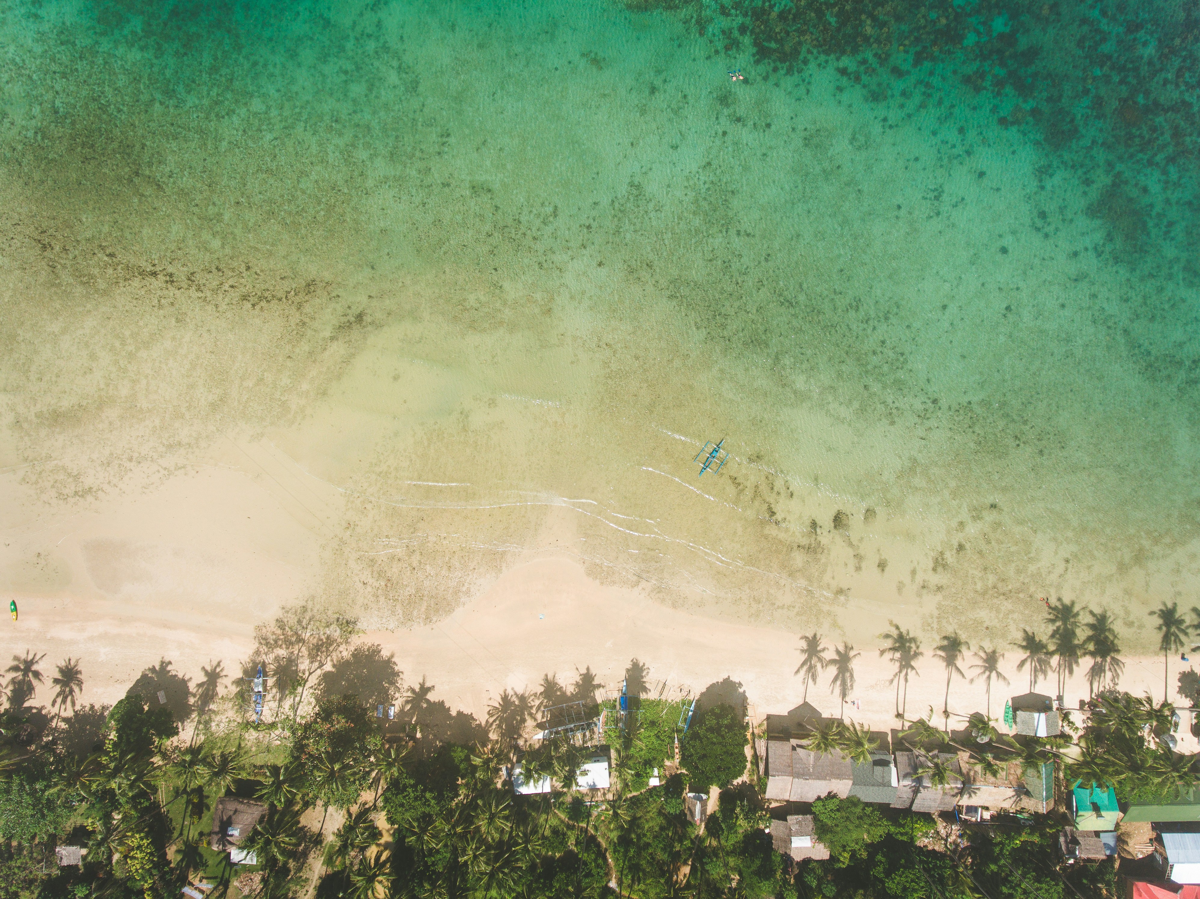 Aerial view of a tranquil beach with gentle waves lapping at the shore, surrounded by lush palm trees and colorful beach huts.