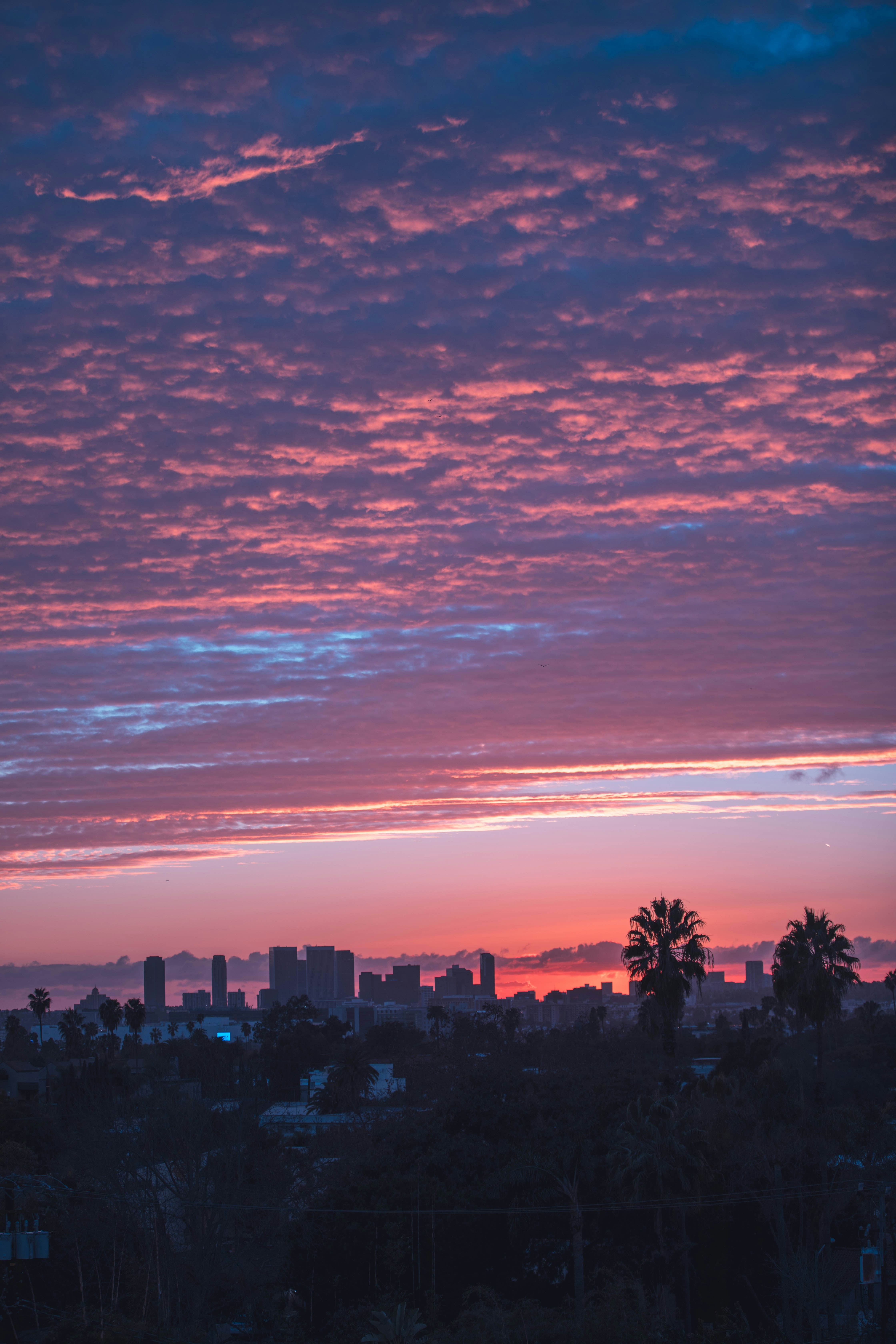Silhouetted city skyline under a colorful sunset with layered clouds and palm trees in the foreground.