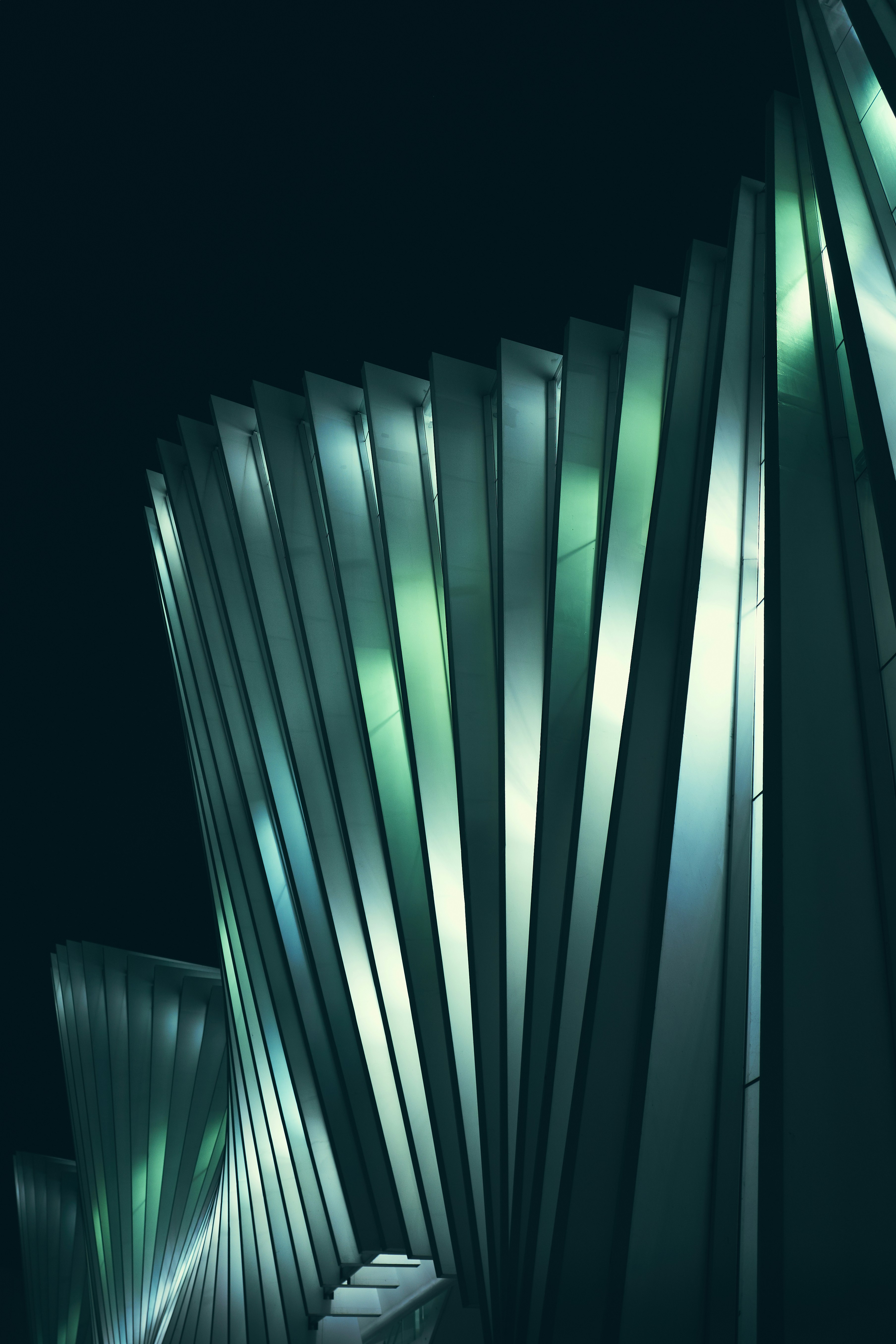 Photo by Luca Bravo with Leica Q