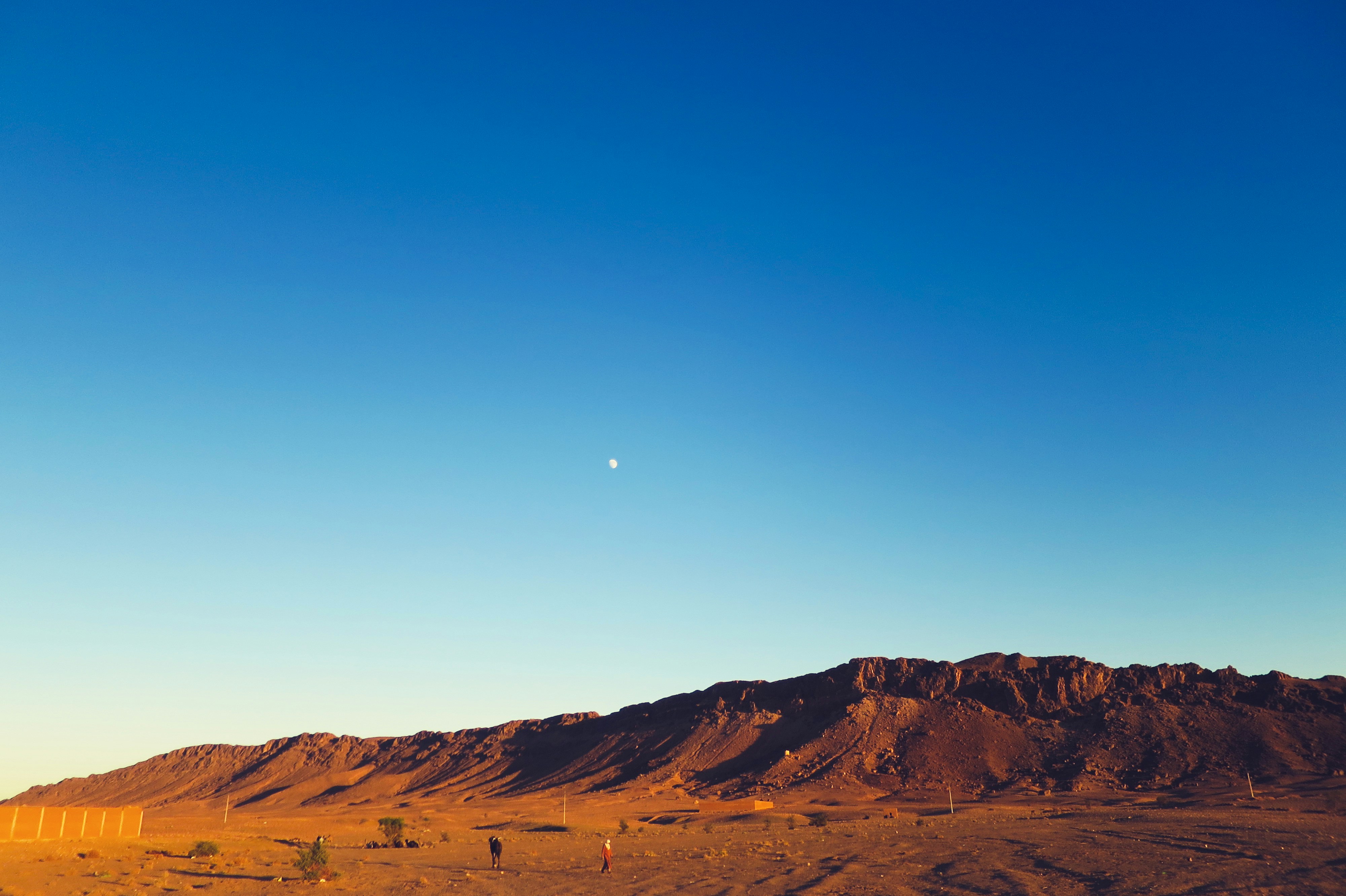 A serene desert landscape at dusk, with a subtle crescent moon rising over rugged mountains. The warm tones of the earth contrast with the deep blue sky.