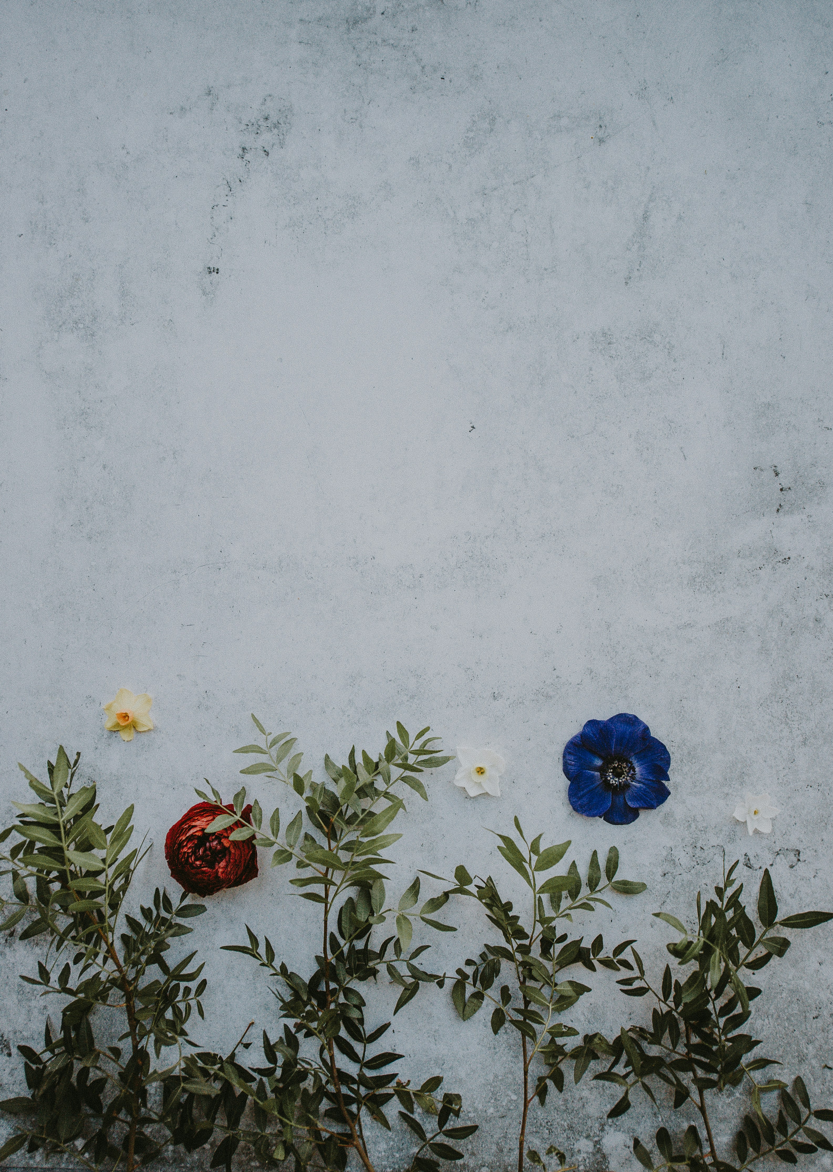 Blue Vintage Floral Tumblr