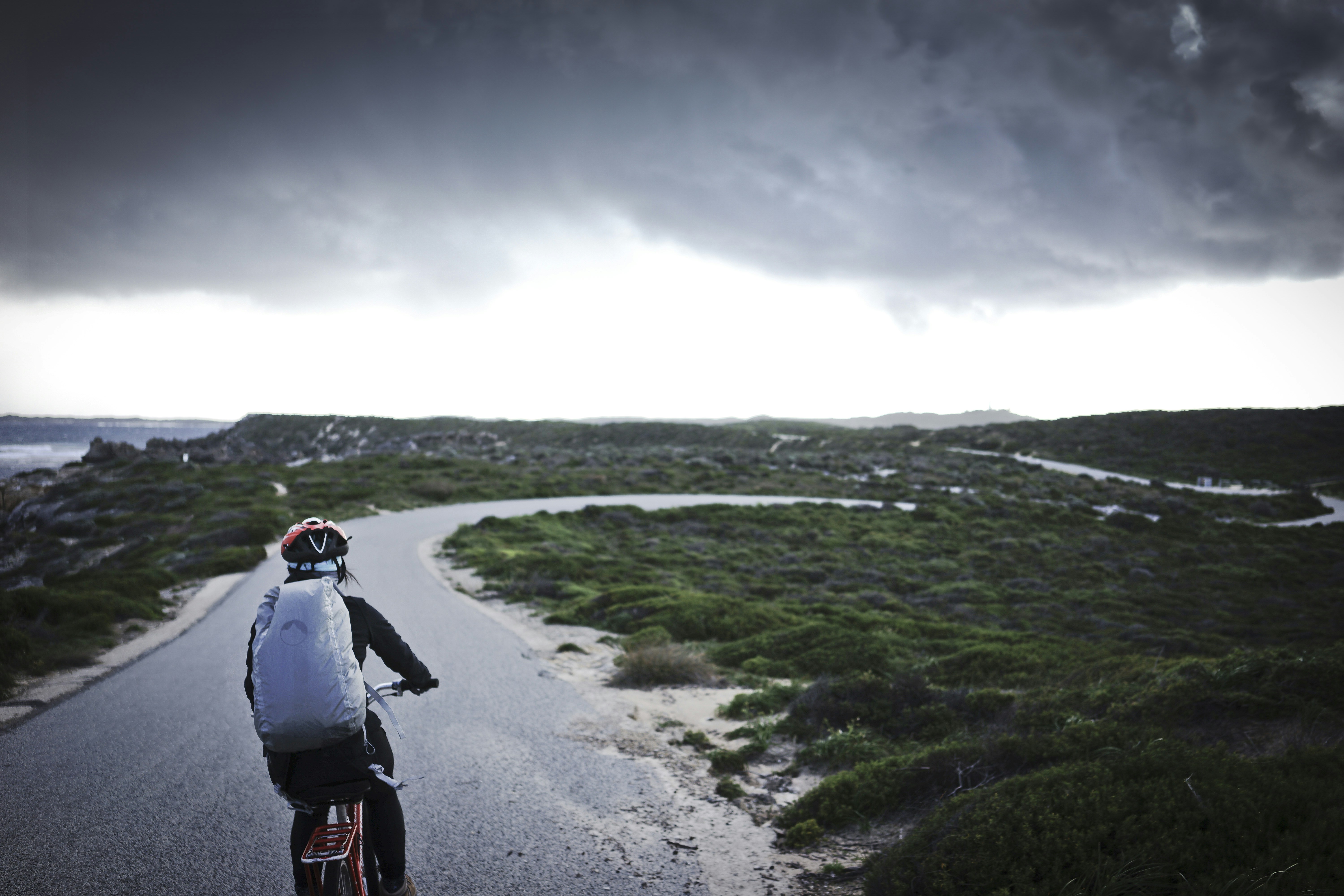 Person riding bicycle near grass photo – Free Rottnest island Image on ...