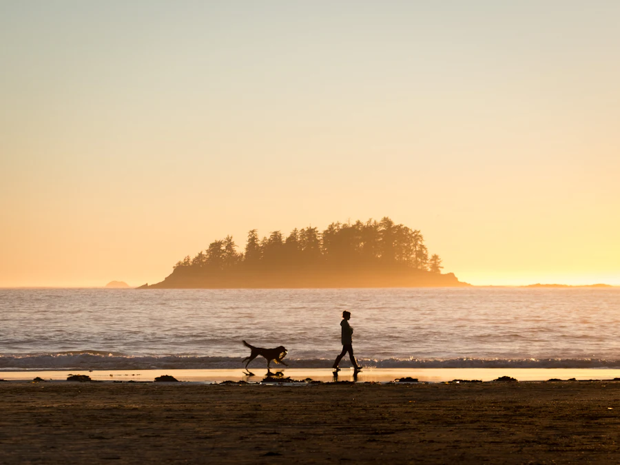 Silhouetted person walking a dog along a beach at sunset, with a small tree-covered island on the horizon and warm light over calm water.