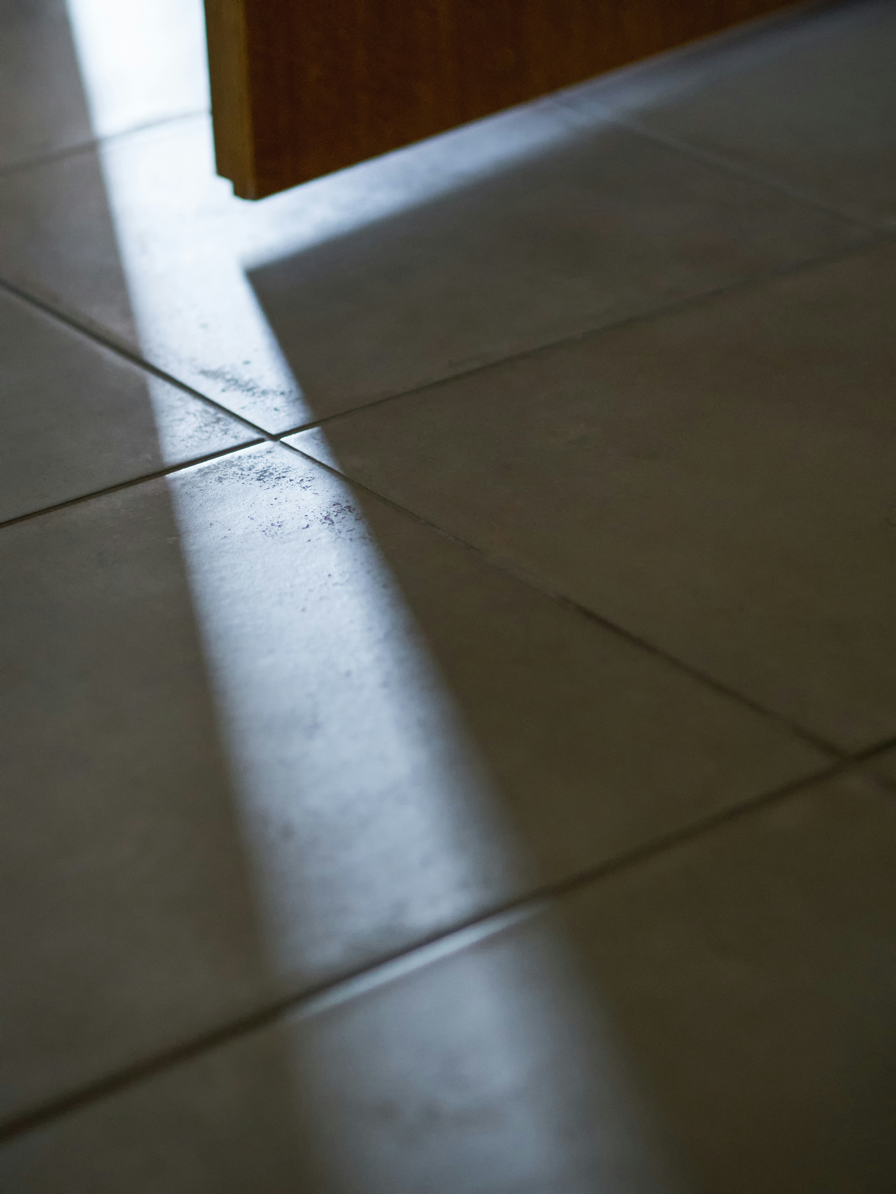 Glimmer of Daylight on Tiled FloorIvan Vranić