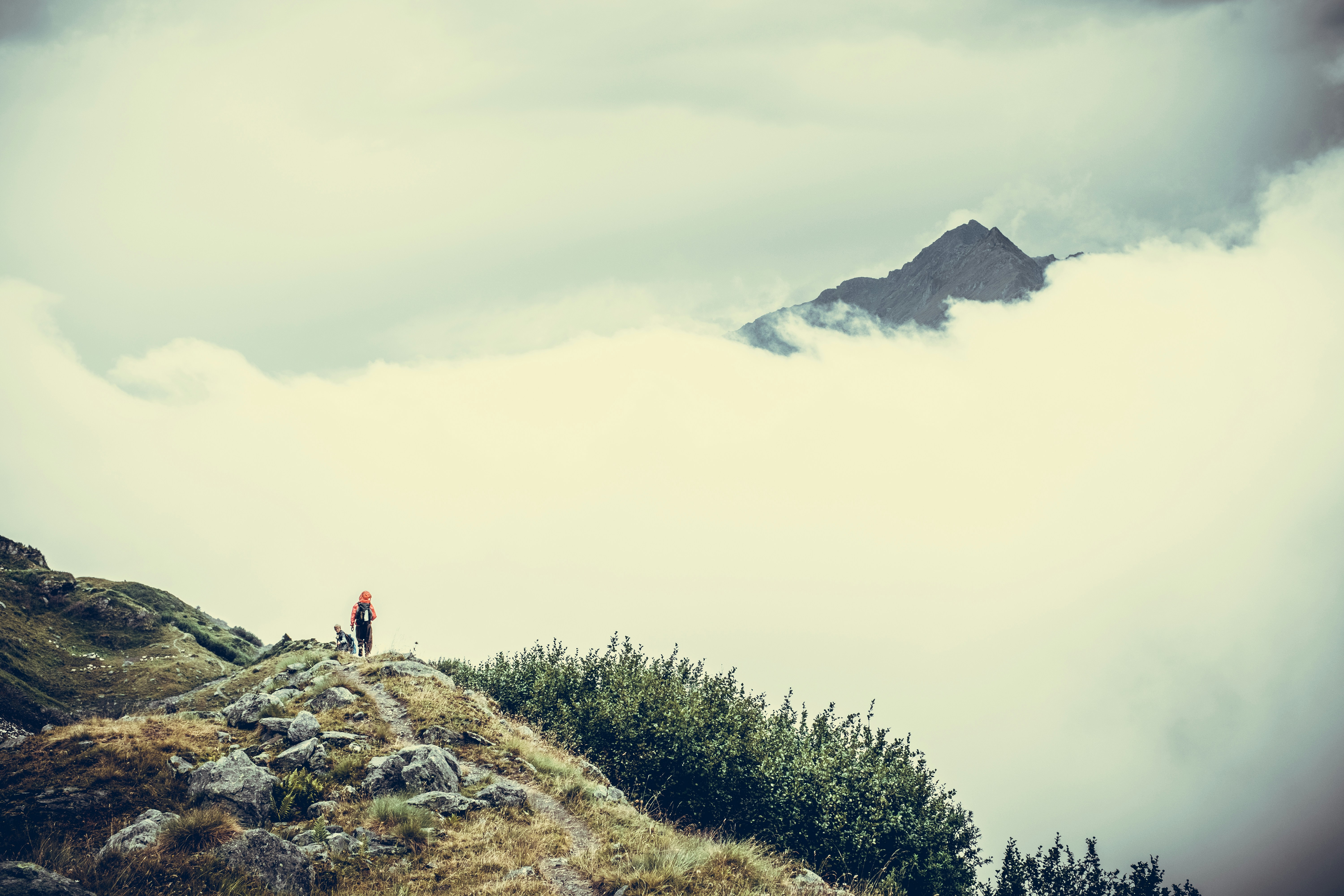 Person on cliff watching sea of clouds photo – Free Alps Image on Unsplash