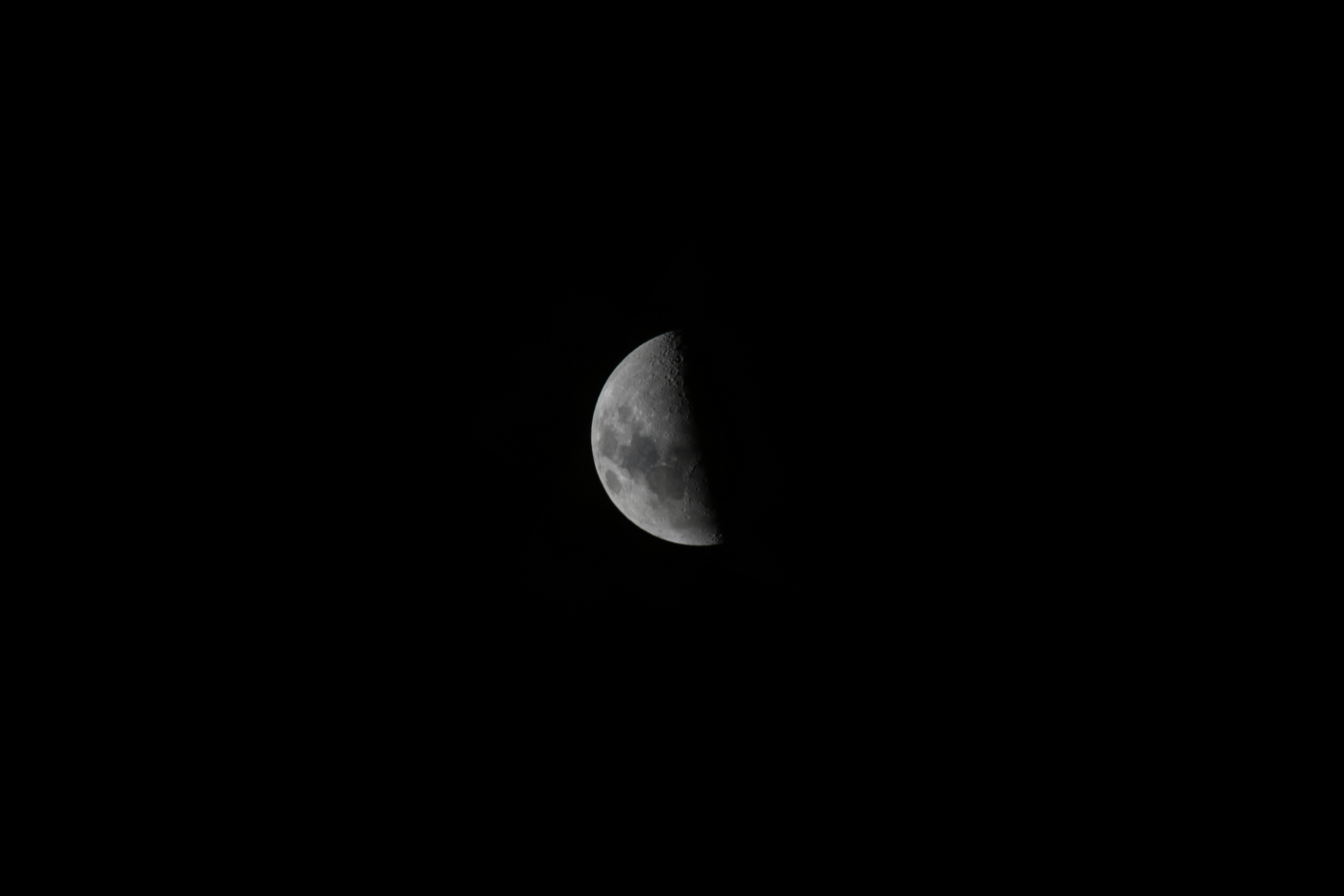 Half moon illuminated against a pitch-black sky, showcasing detailed craters and lunar texture.