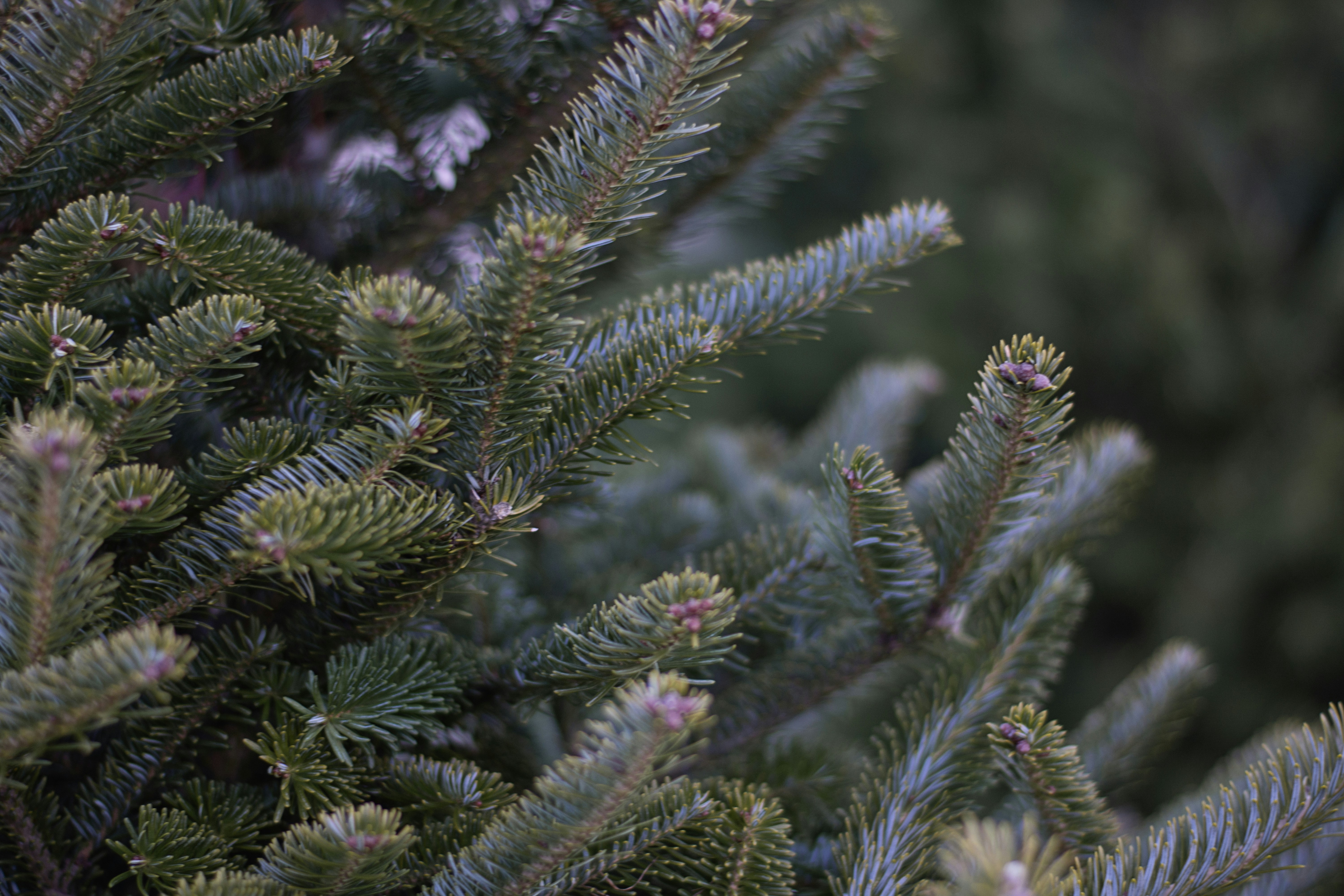 Jonathan Talbert (@jonathantalbertphotography) | Komunitas Foto Unsplash