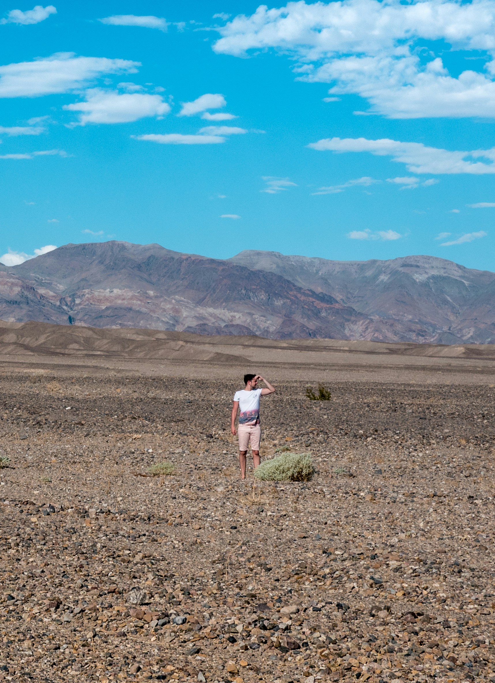 Desert Traveler Beneath a Wide Blue Sky