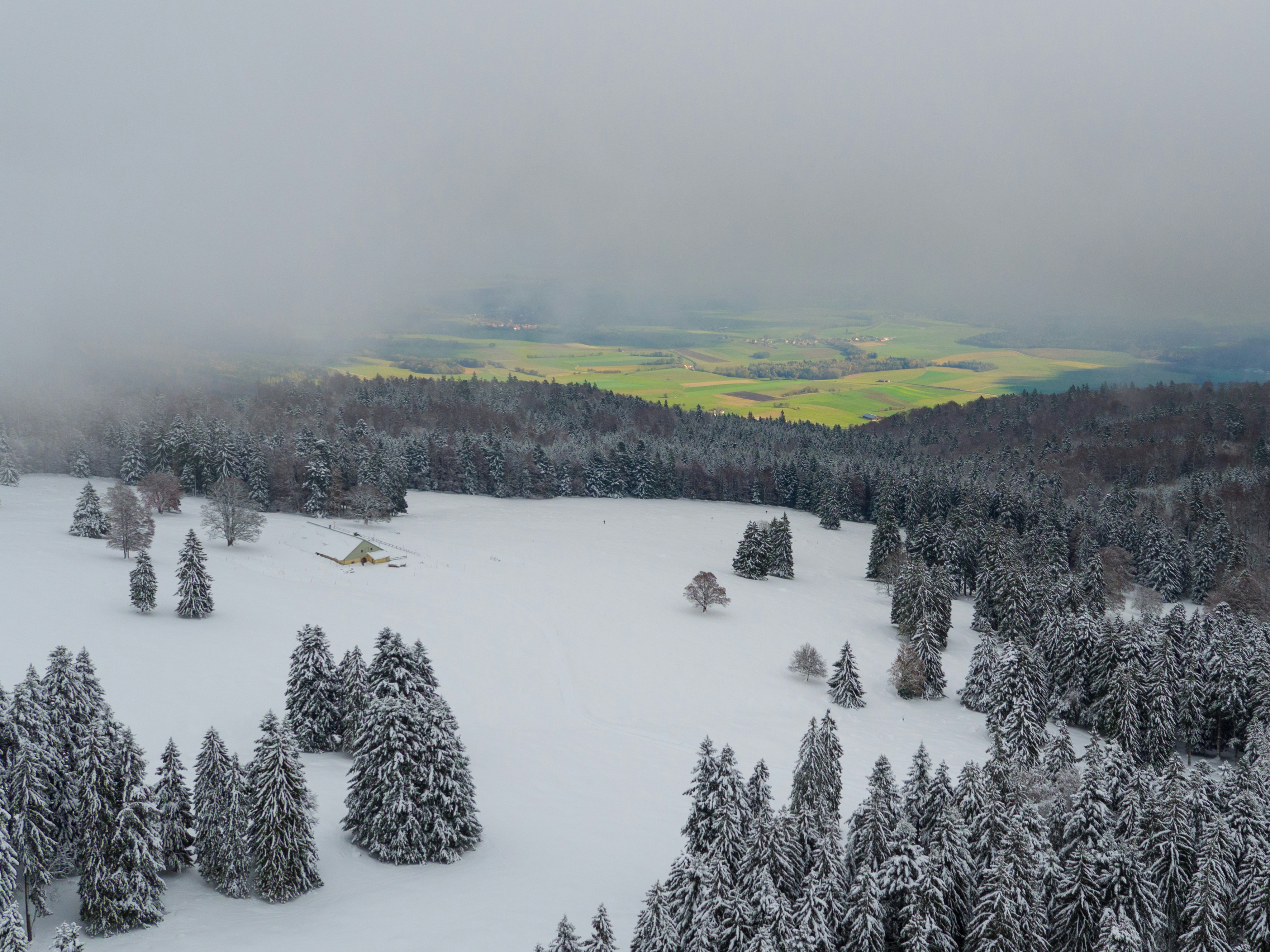A serene winter landscape blanketed in fresh snow, featuring a cluster of evergreen trees and a distant patch of farmland peeking through the clouds.