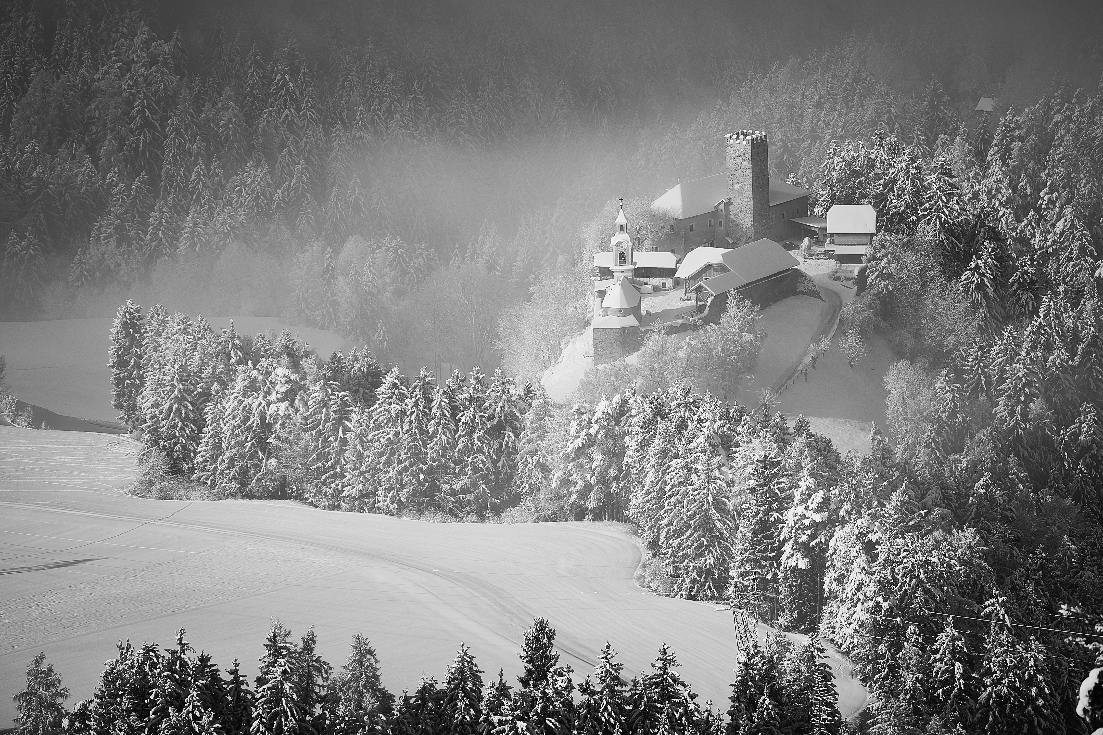 Grayscale photography of castle near on forest trees photo – Free ...