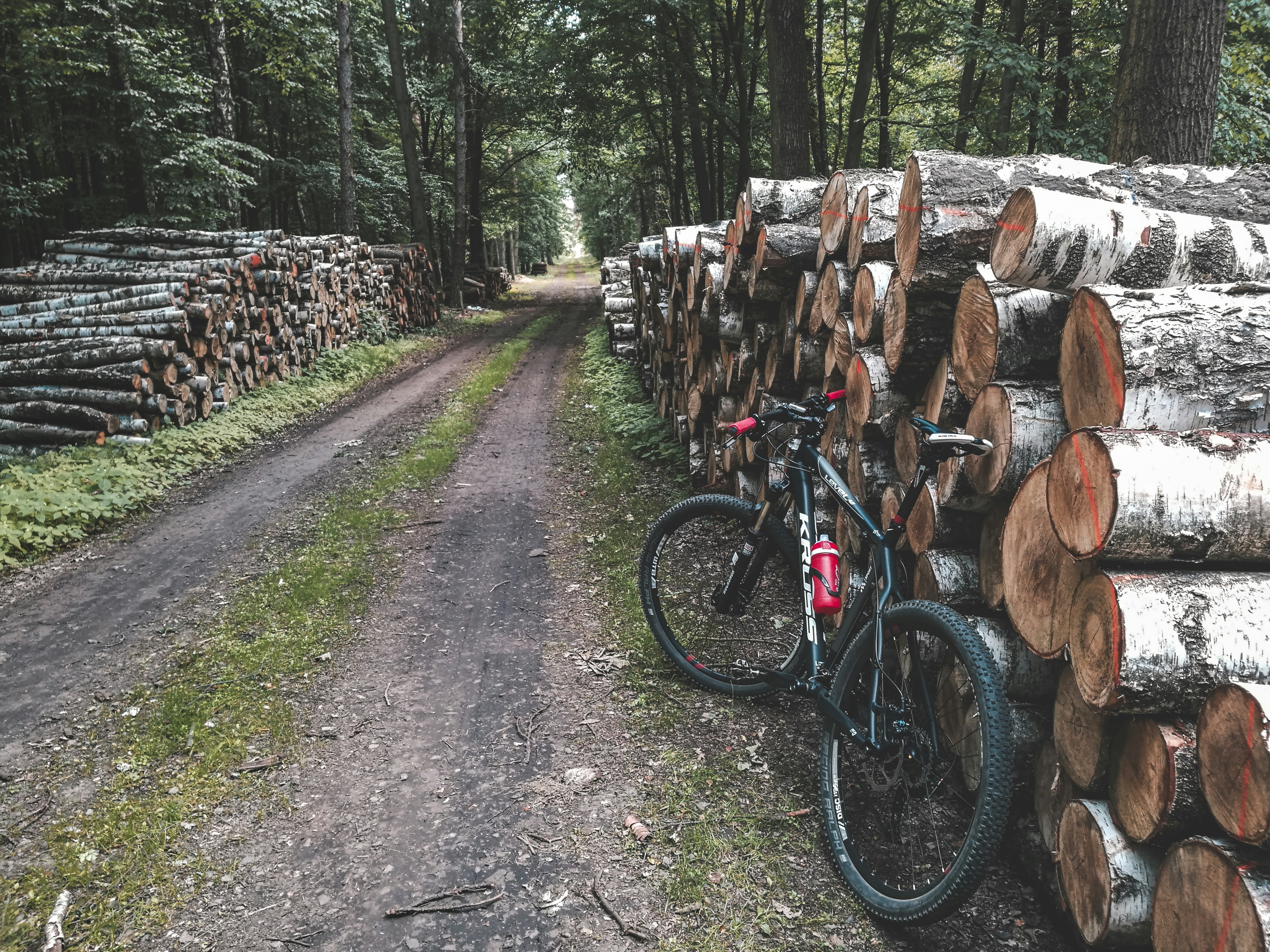 Sample photo from Huawei Honor 8