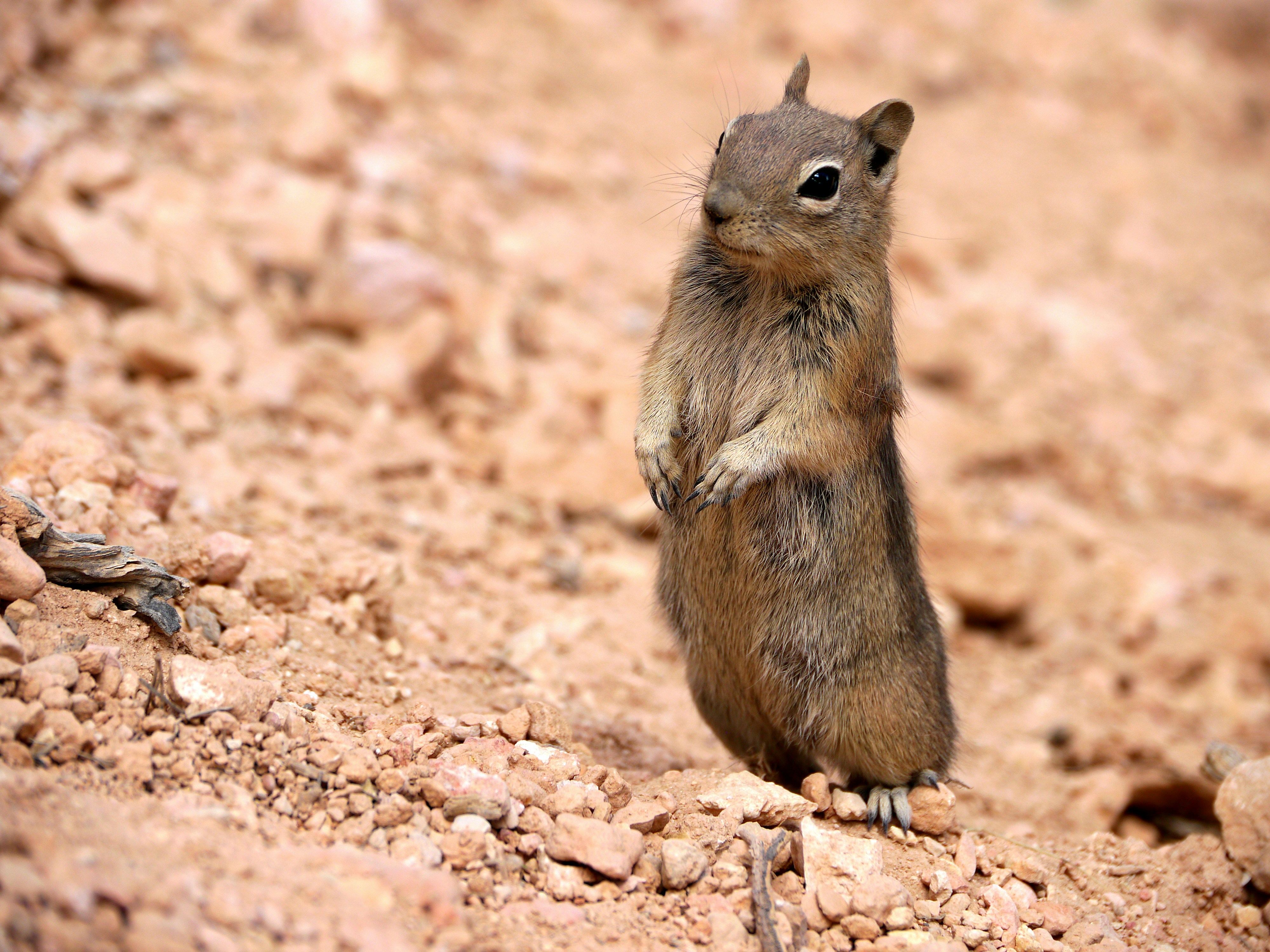 Anima Pictures | Download Free Images on Unsplash