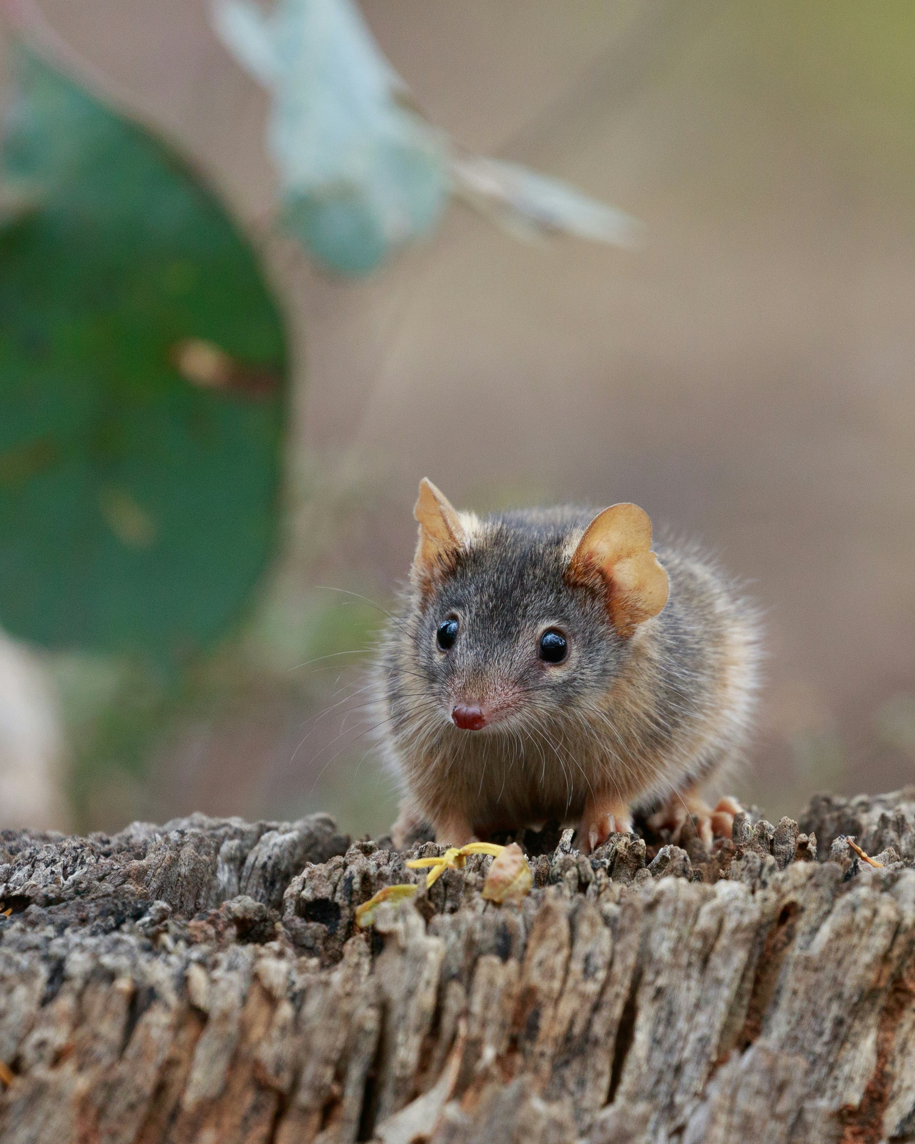 Geoff Park (@geoffpark) | Unsplash Photo Community