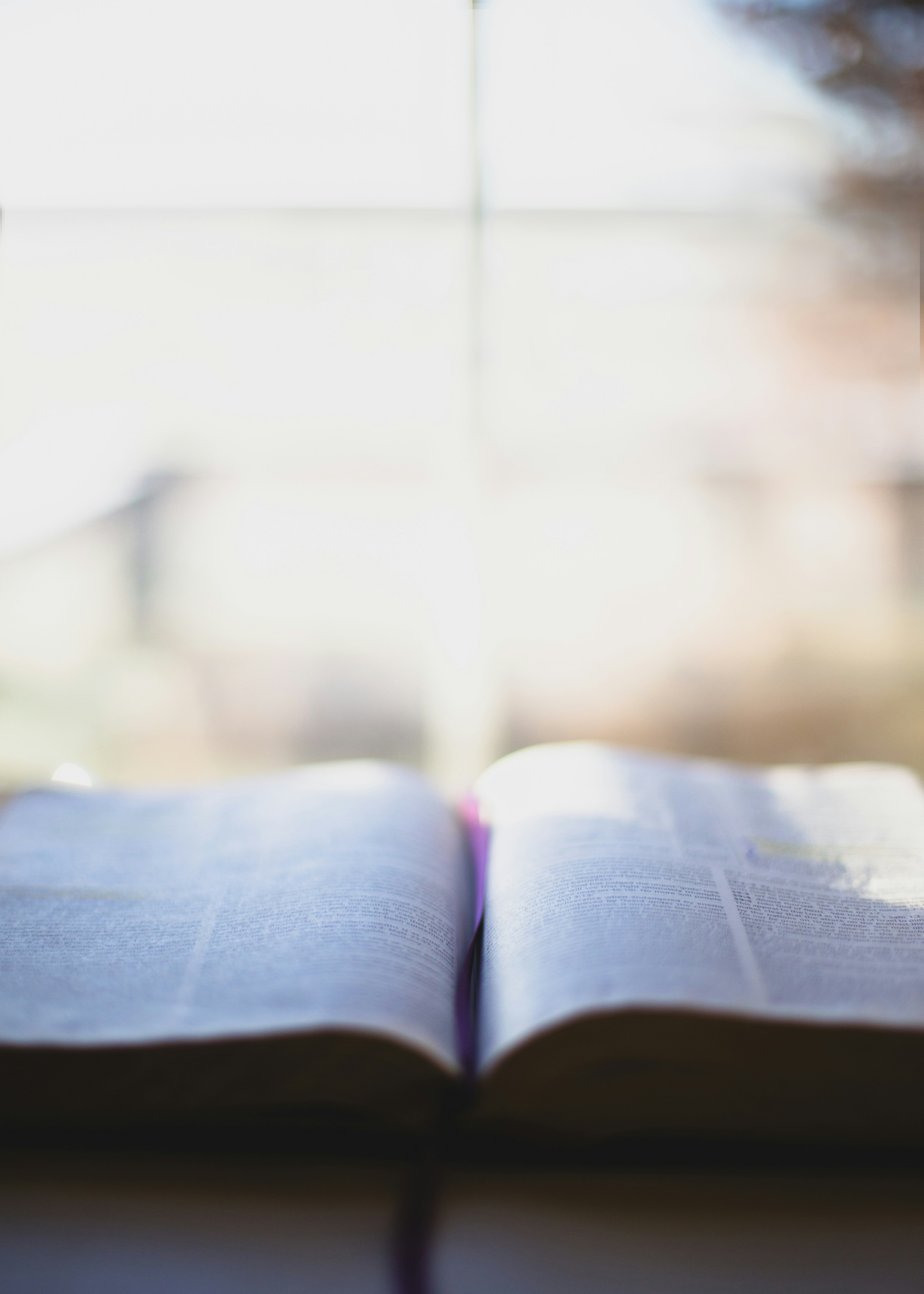 Free bible propresenter backgrounds - hipbxe