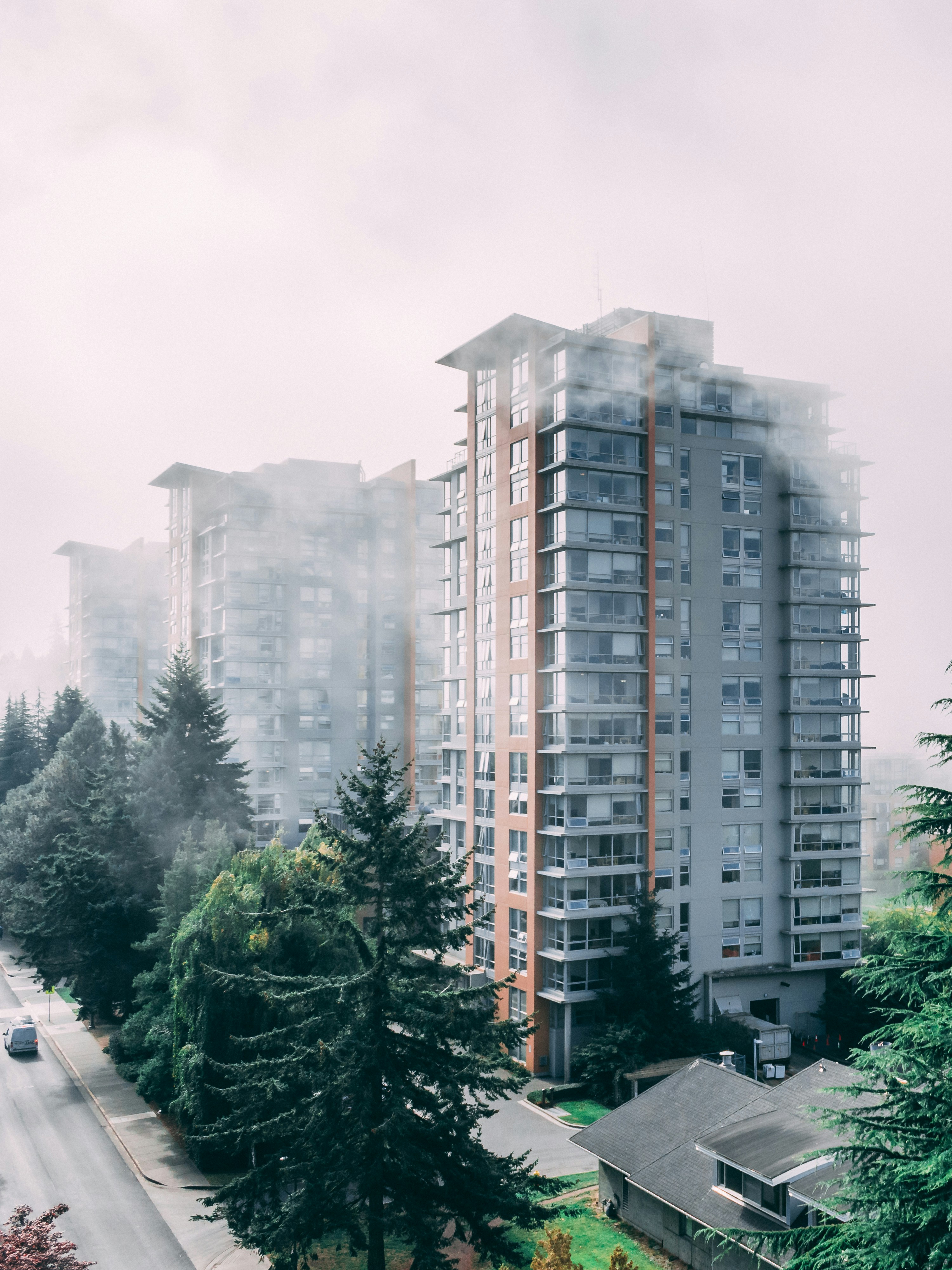 Mist-Swathed Towers: A Quiet Morning in the Evergreen City