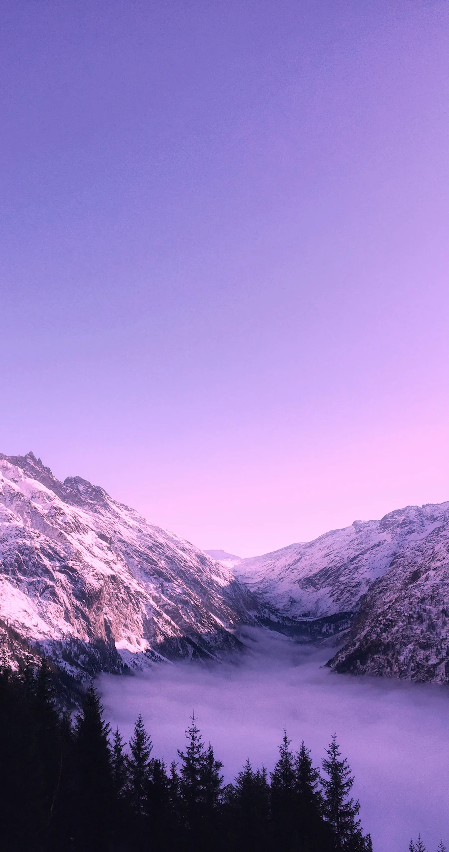 Snow-covered mountains framing a mist-filled valley under a soft purple and pink sky, with dark evergreen trees in the foreground.