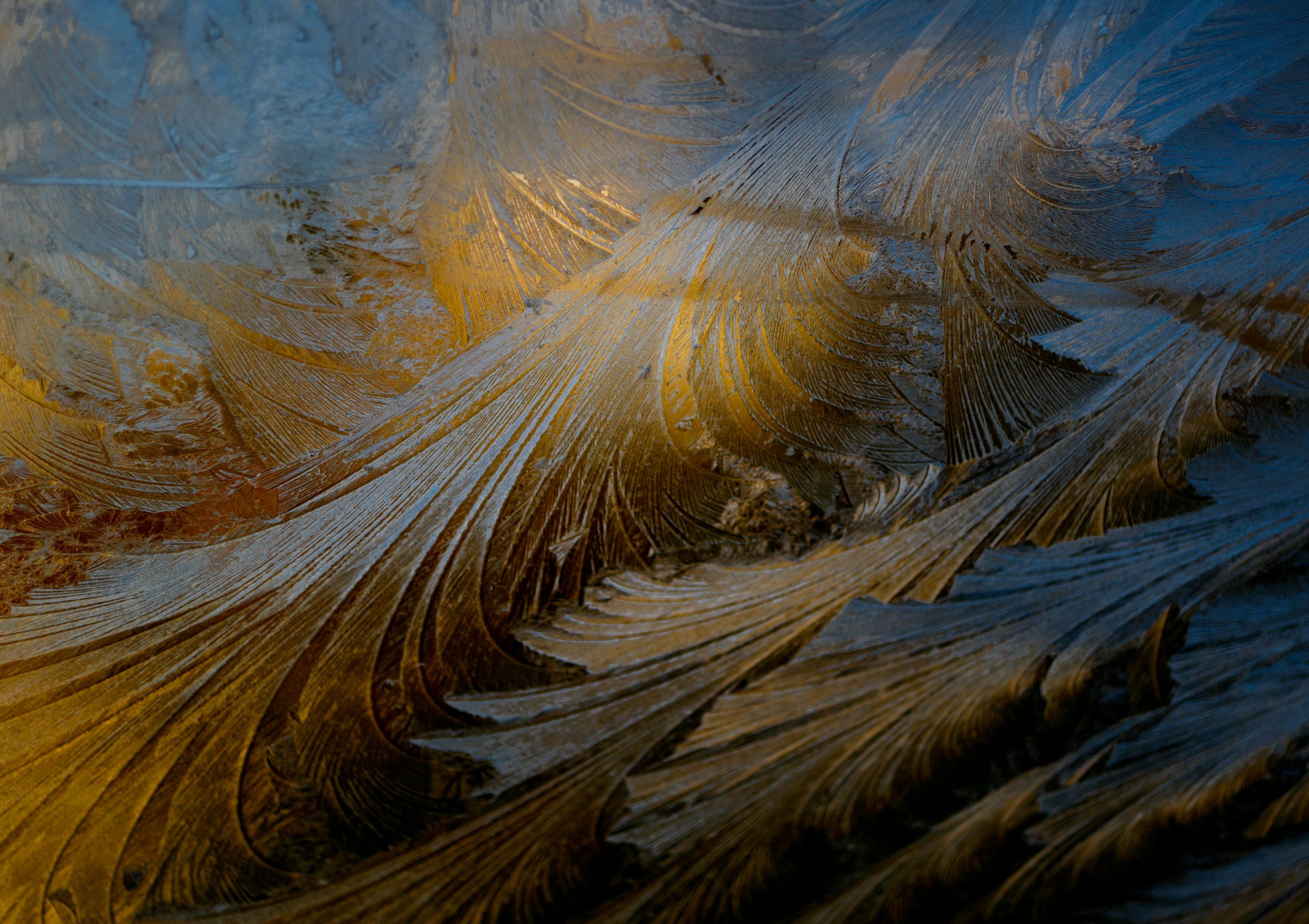 Close-up of delicate frost patterns on glass, illuminated by warm amber light transitioning to cool blue. The intricate ice feathers create a lace-like texture across the surface.