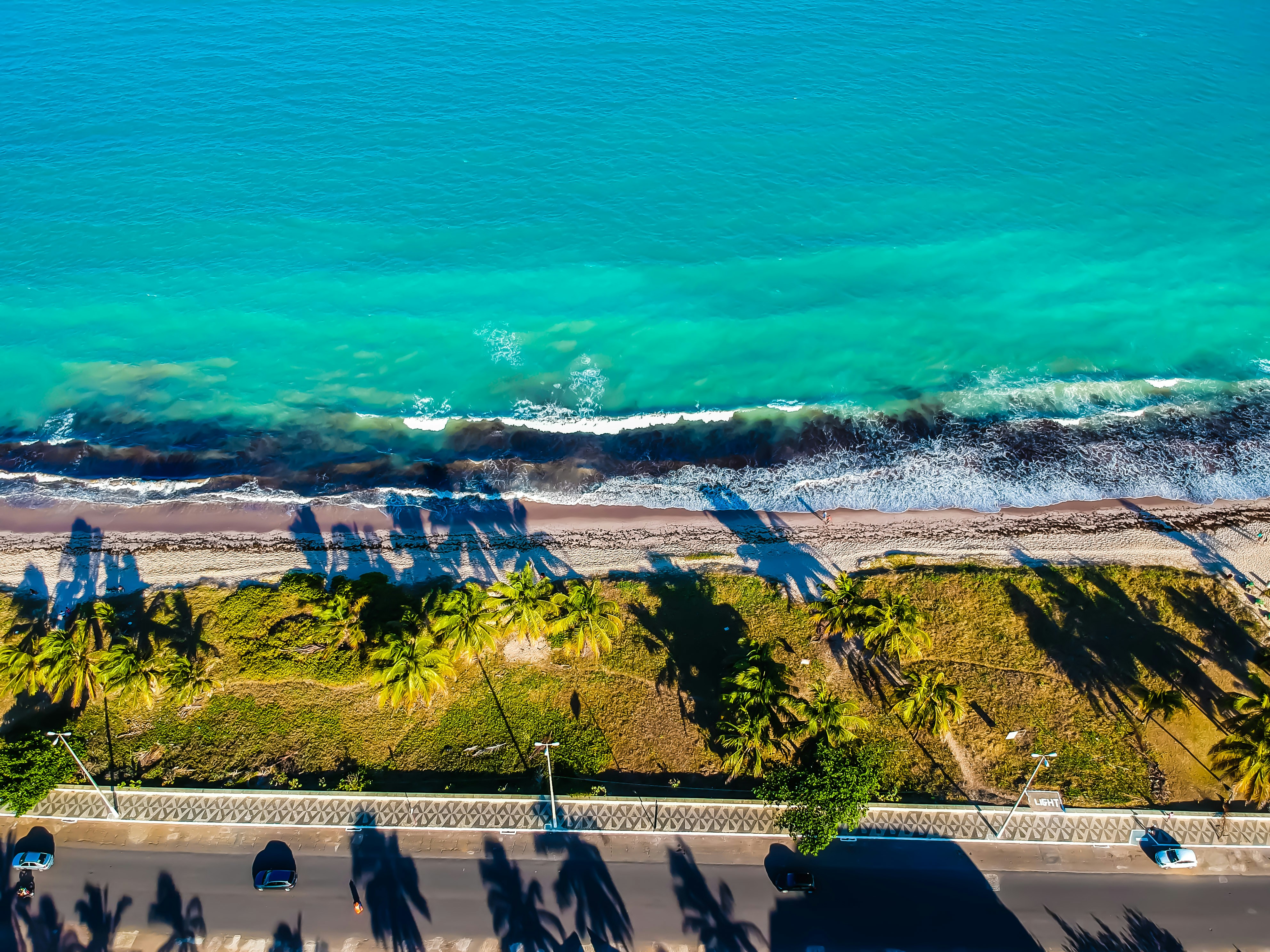 Aerial view of palm trees casting long shadows over a coastal road beside turquoise waters.