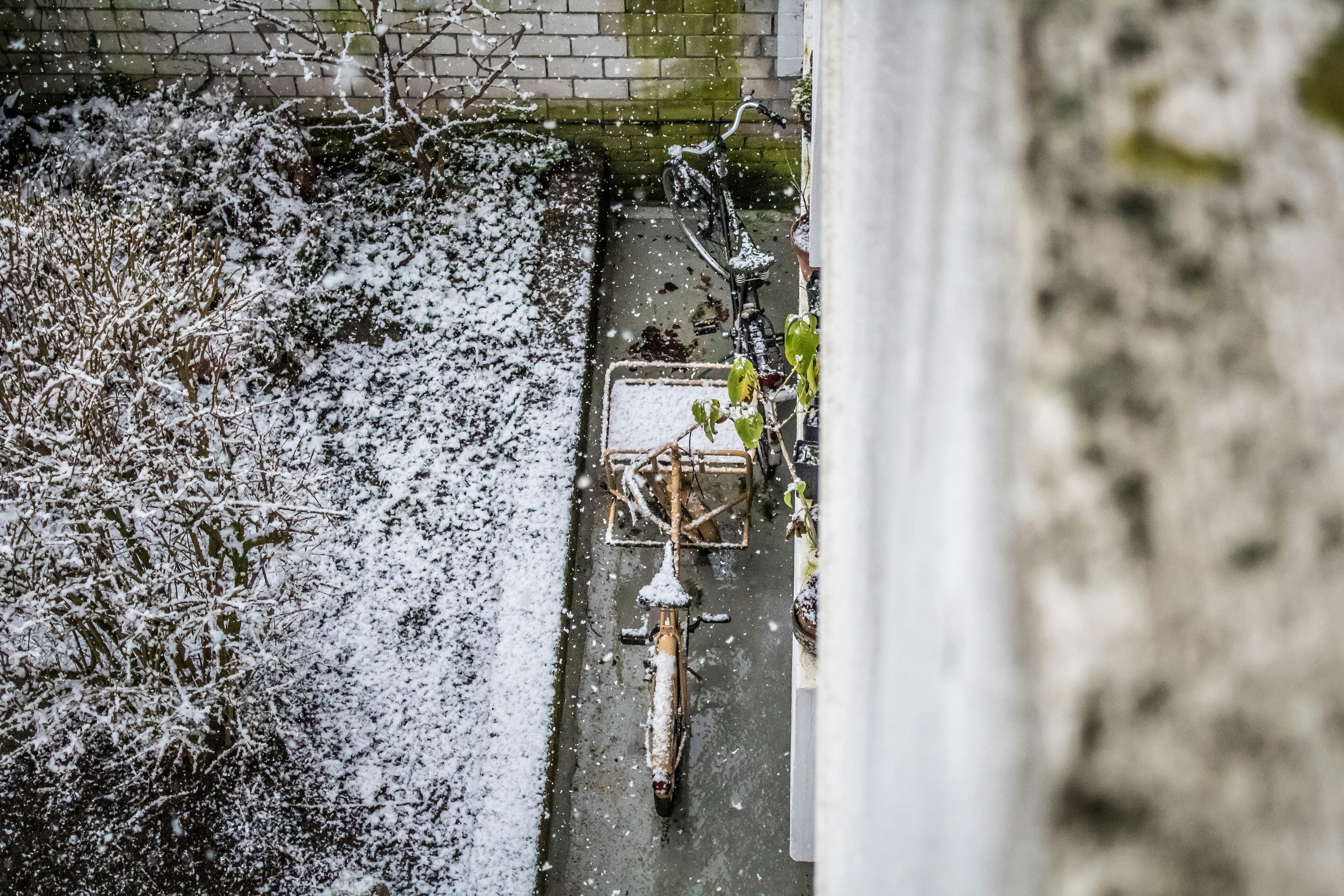 Planegg, Germany - all you need to know