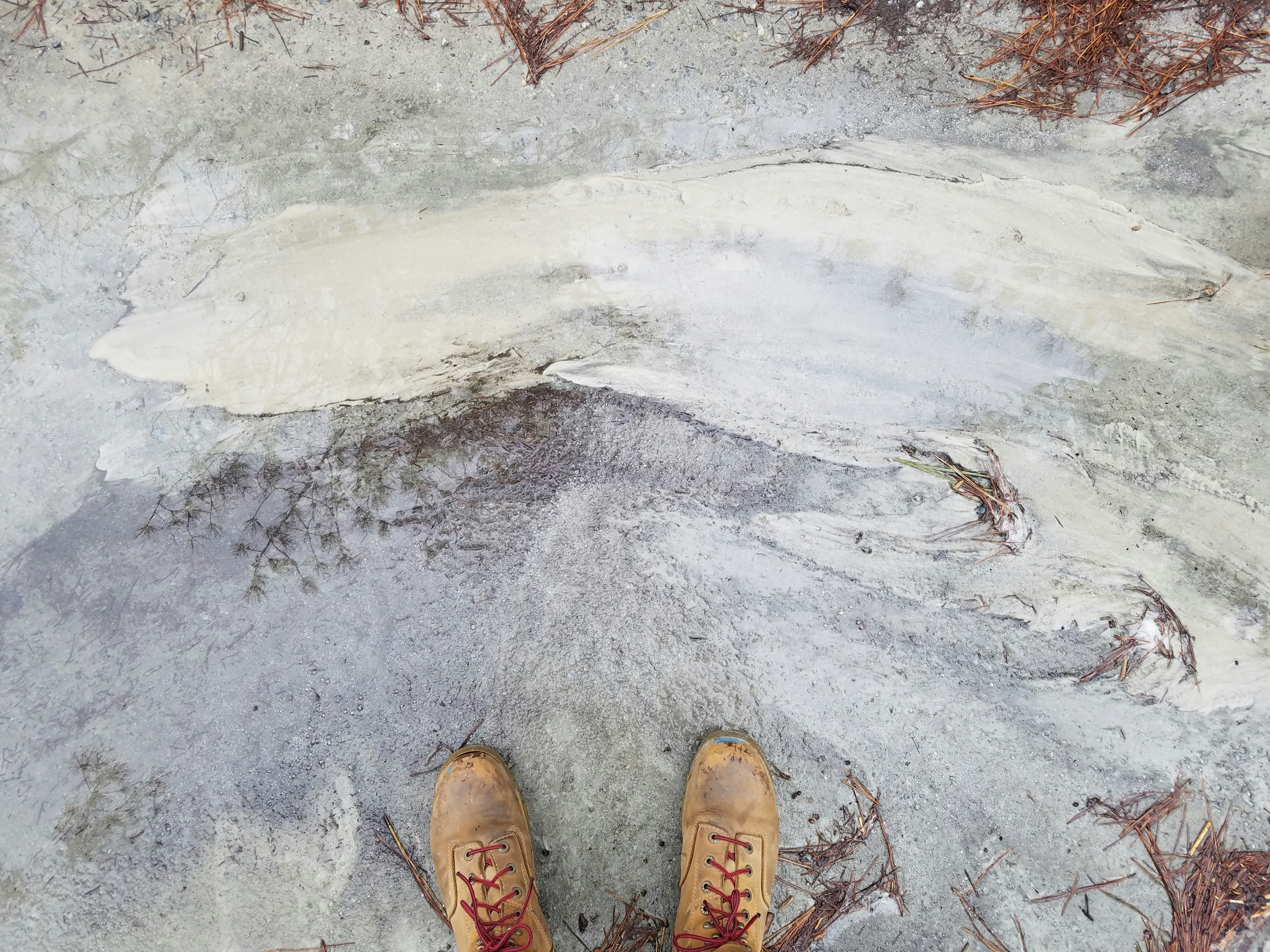 Slogging on Through (A Love Letter)