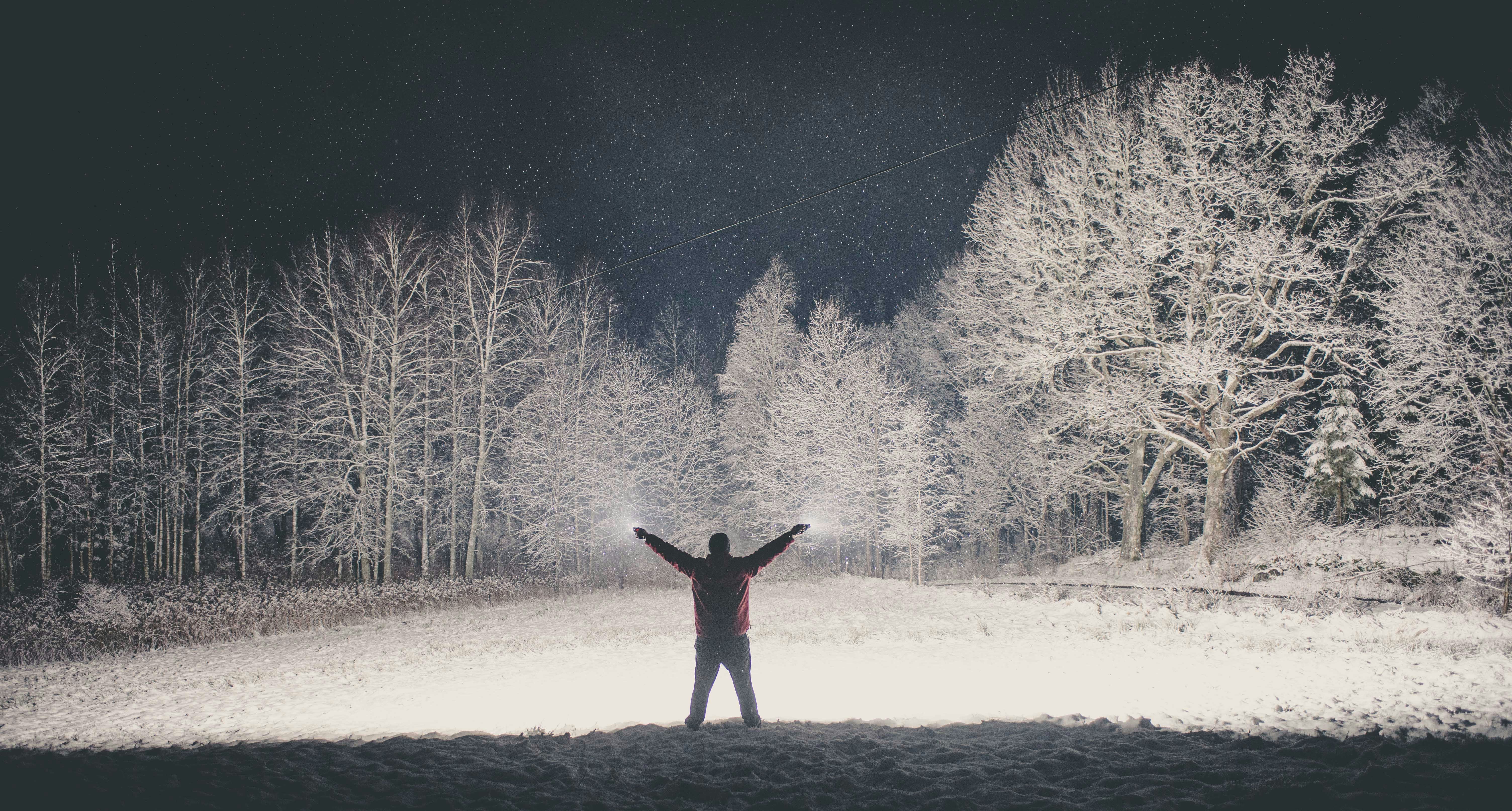 A person stands in a snowy field, arms outstretched, surrounded by frosted trees under a night sky filled with falling snowflakes.