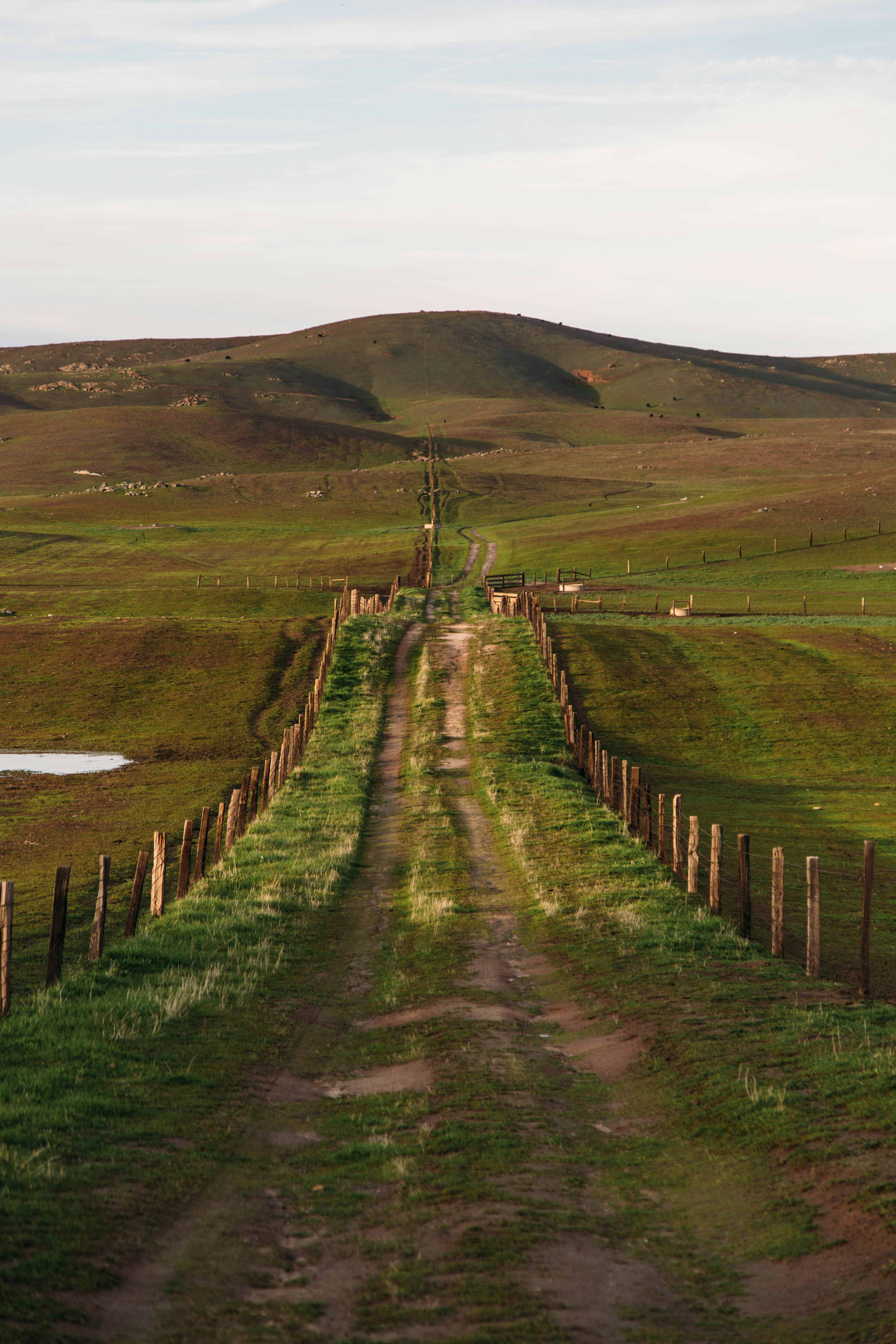 Pasture Road: A Fenced Path Vanishing Toward Distant Hills