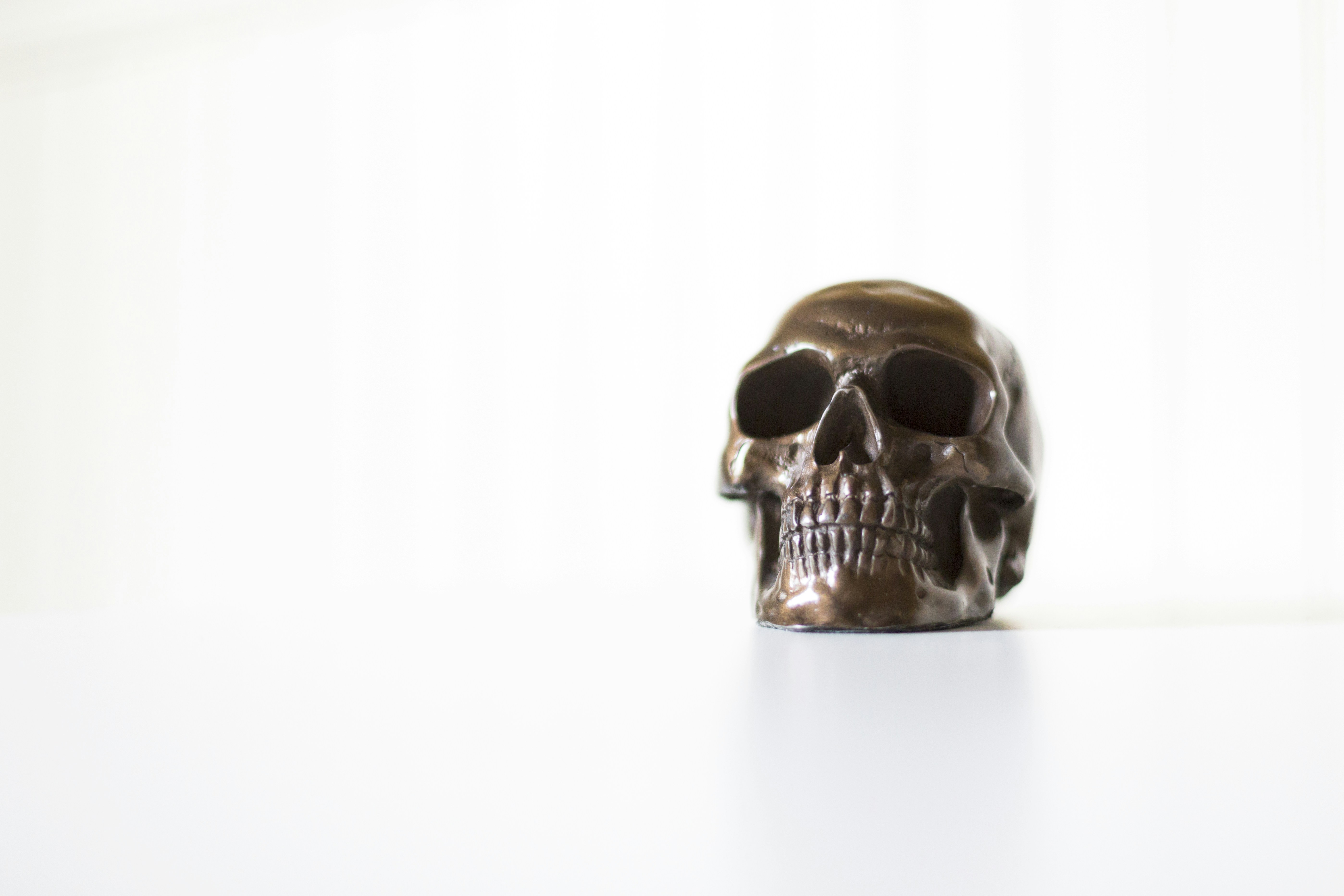 Anatomy of the Skull Quiz: Cranium Bone Questions
