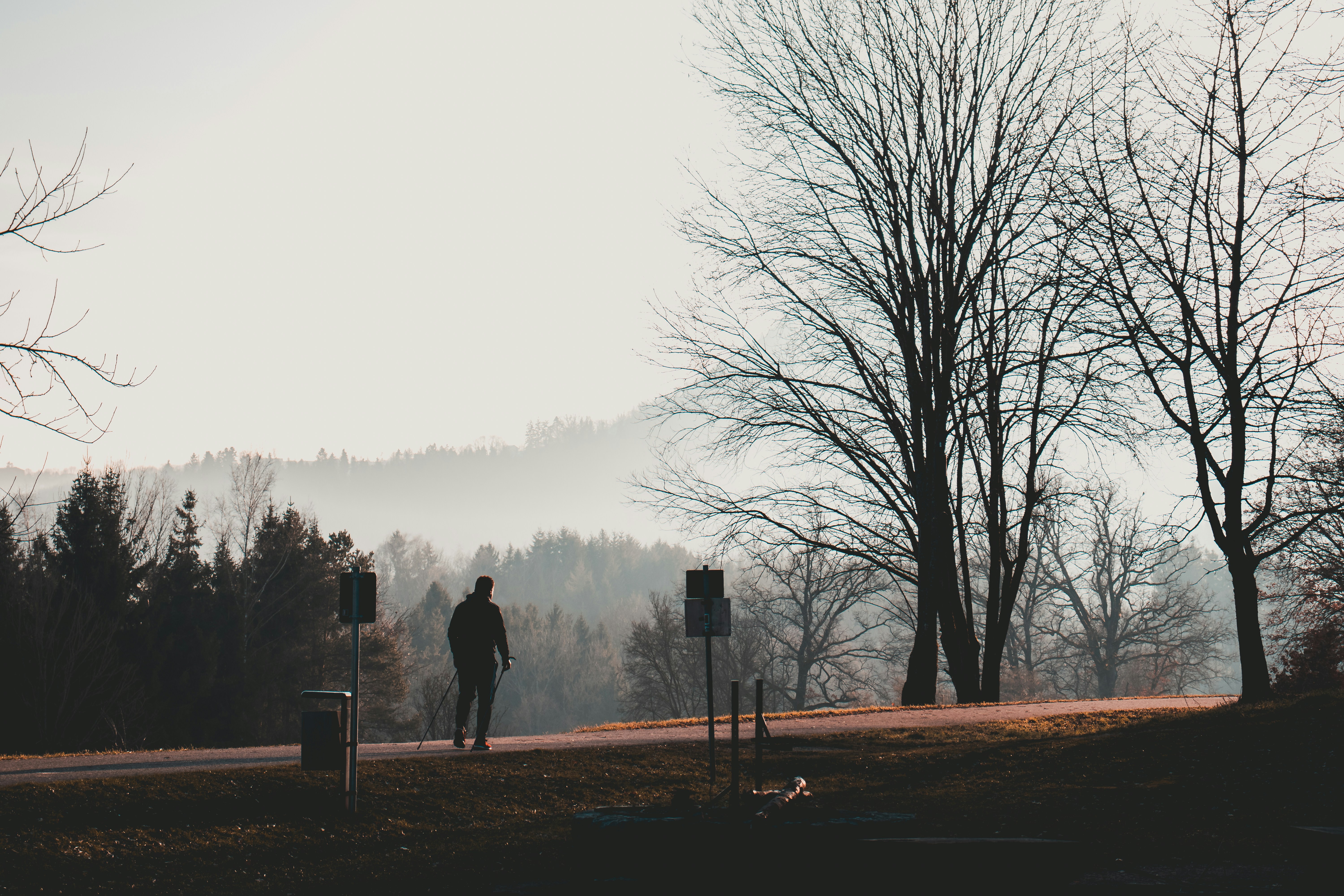 Silhouette of a person walking along a foggy path, framed by leafless trees and distant hills. The scene evokes a sense of tranquility and introspection.