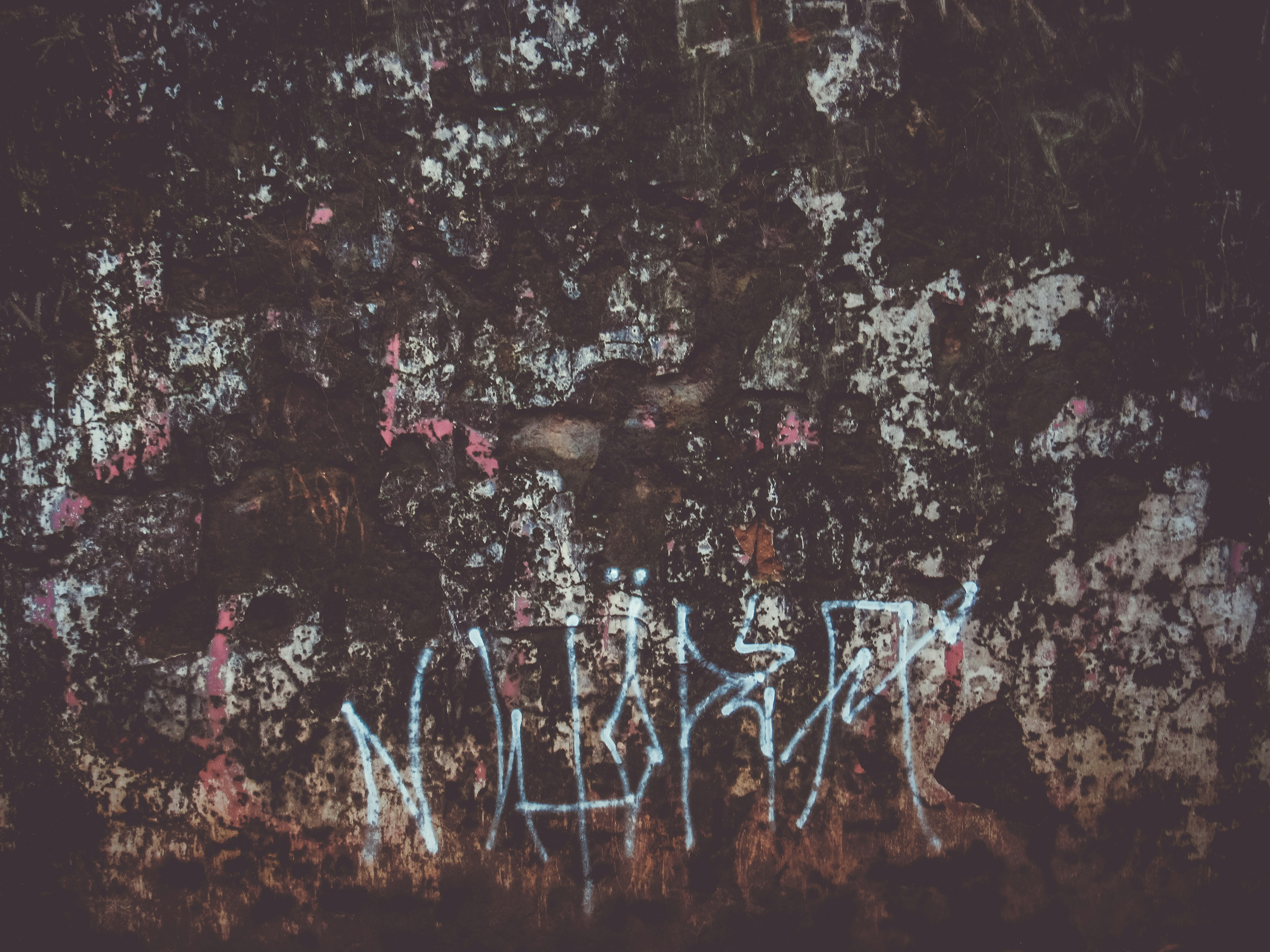 Graffiti Echoes on a Weathered Wall