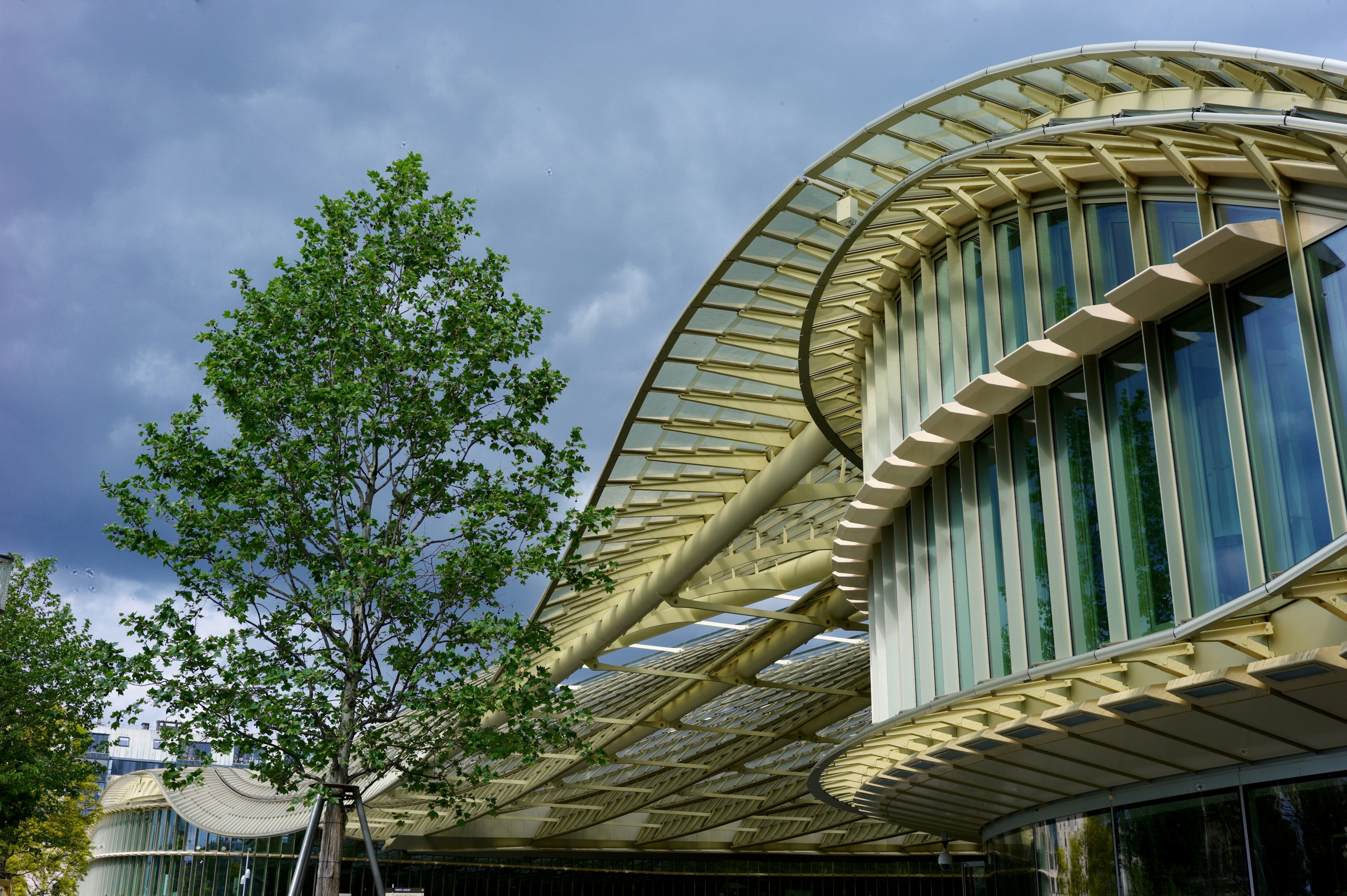 Nicolas Thomas (@nicolasthomas) | Unsplash Photo Community