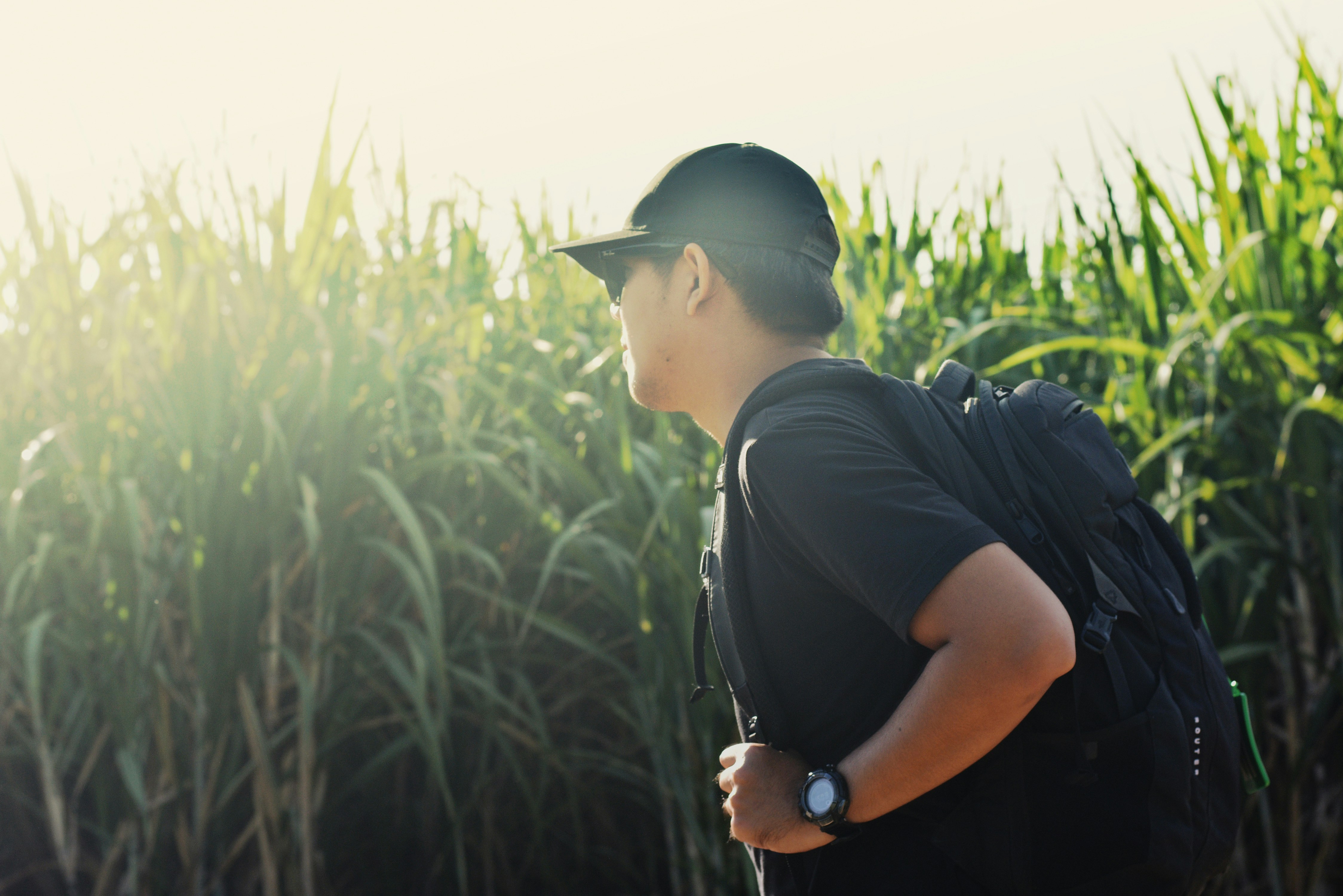 A young hiker stands amidst tall sugarcane, gazing towards the sunlight filtering through the foliage.