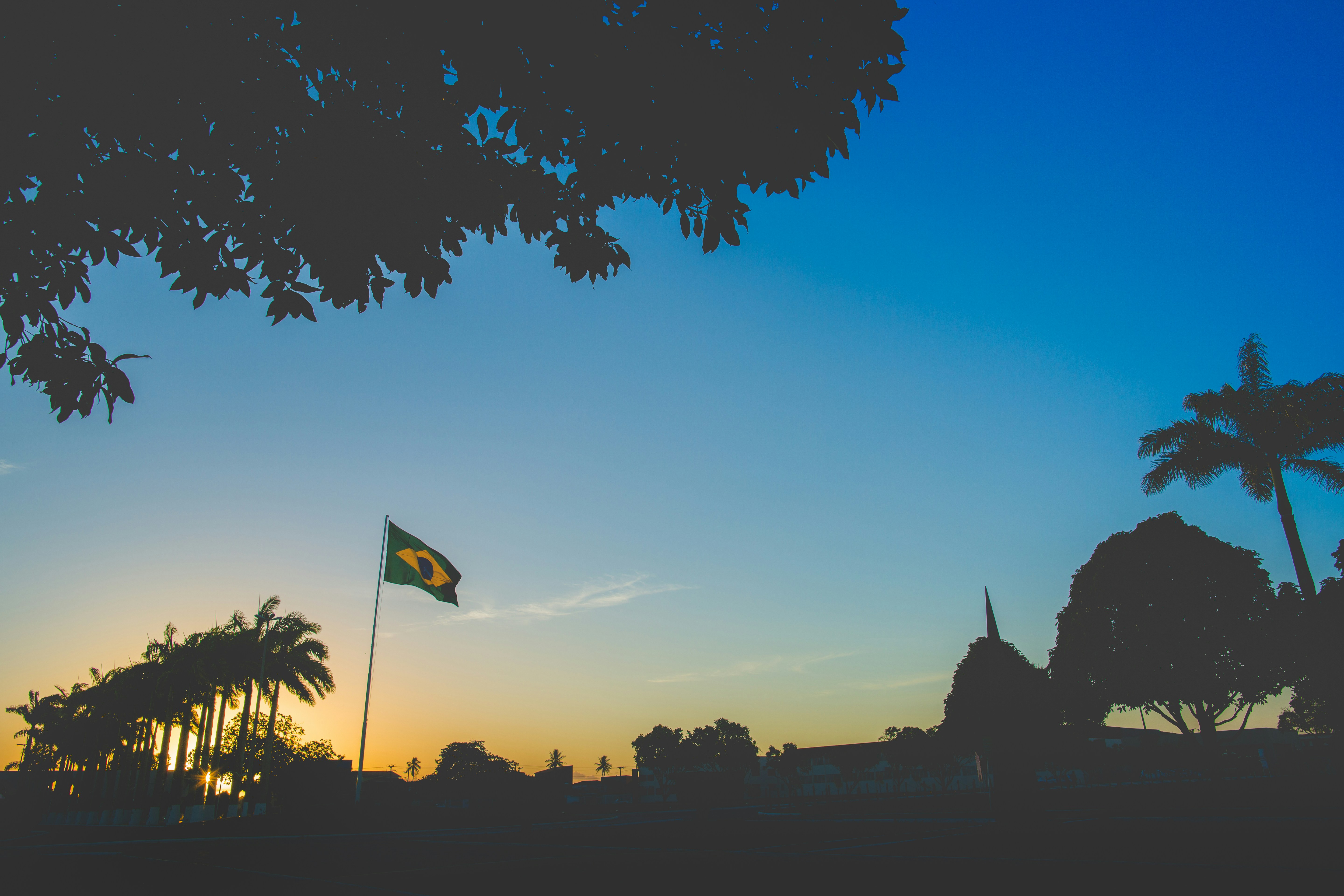 Naassom Azevedo (@naassomz1) | Unsplashフォトコミュニティ