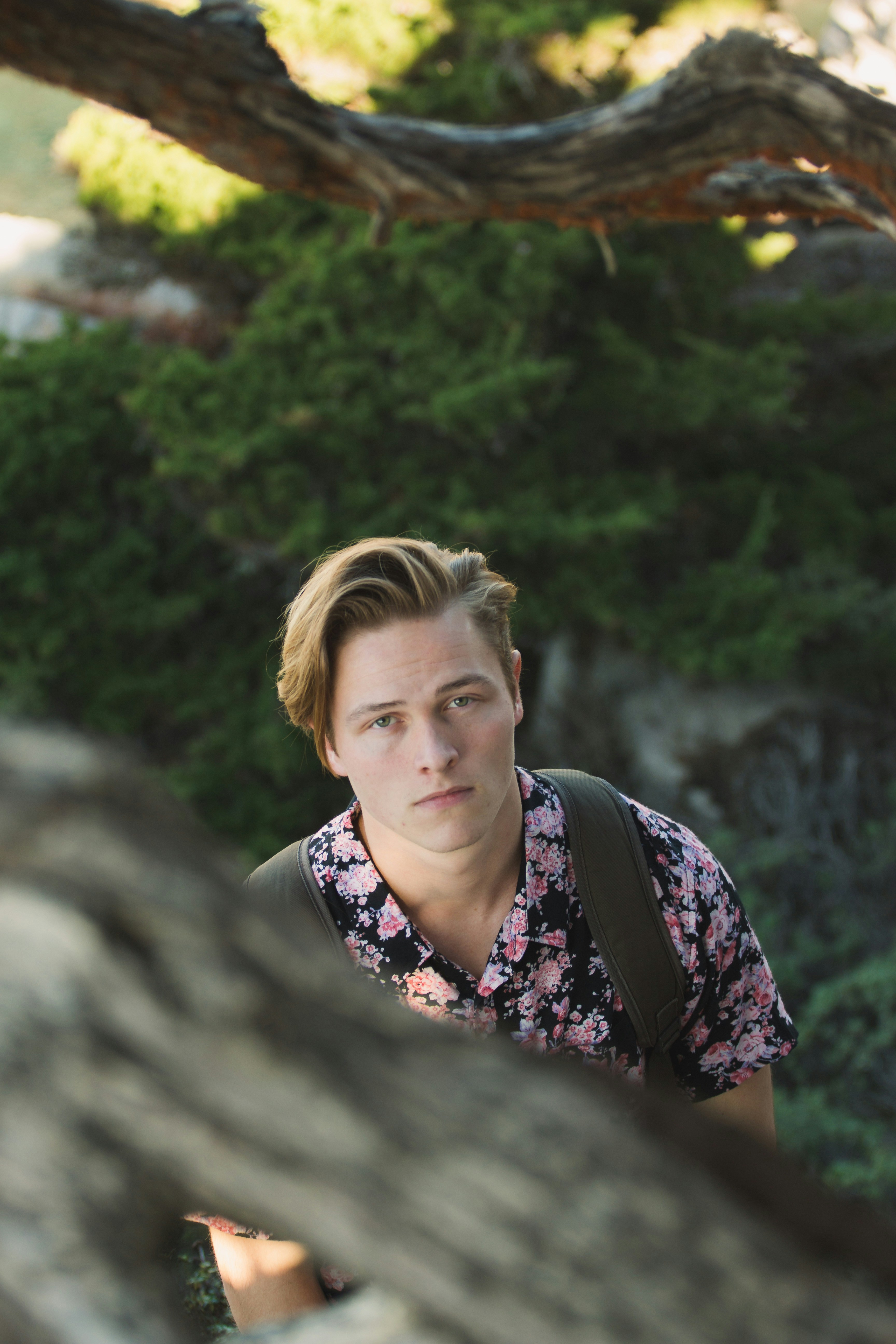 Person in floral shirt gazing through a natural frame of tree branches with lush greenery in the background.