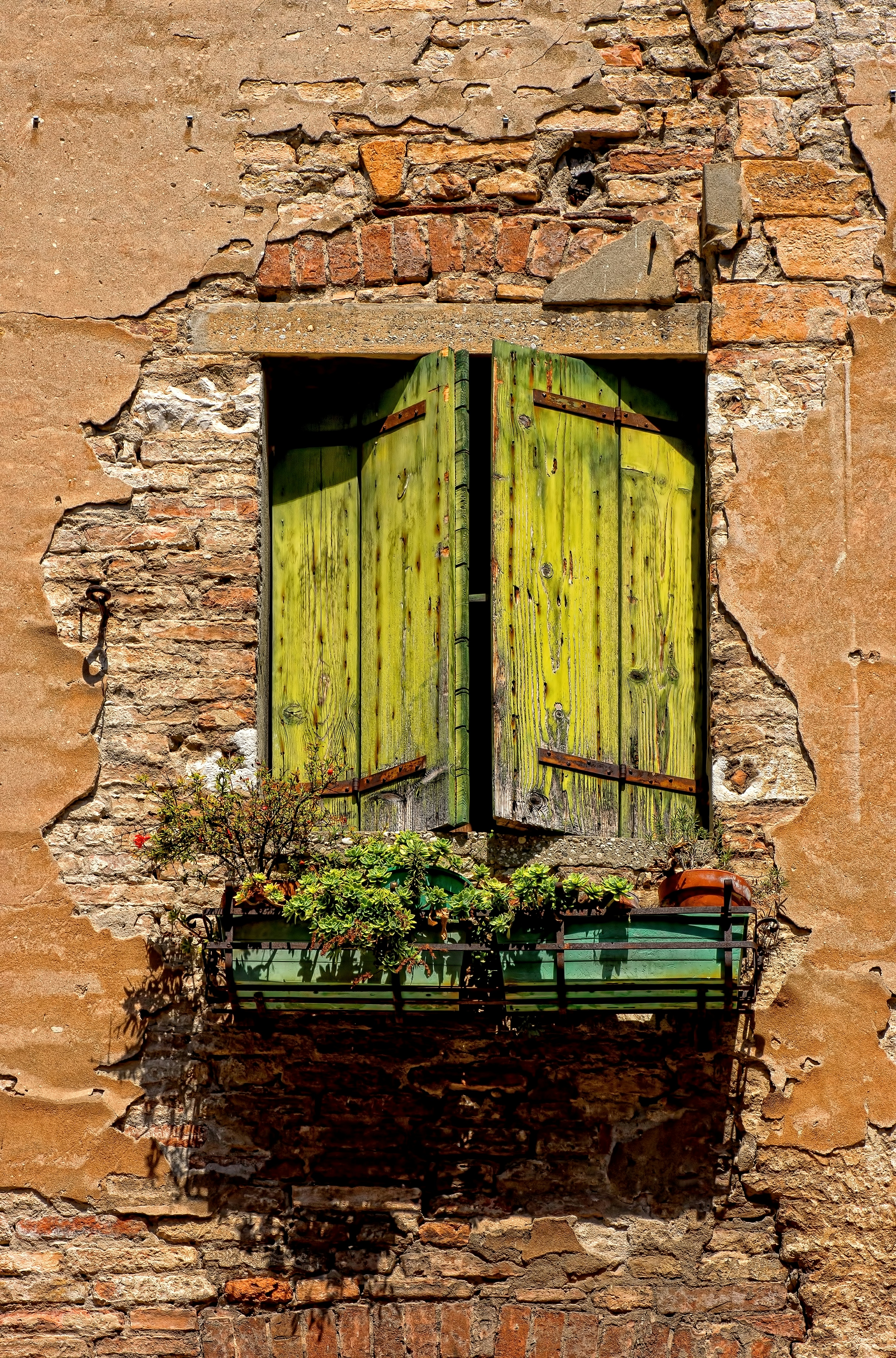 Weathered green shutters adorned with potted plants, framed by an aged stone wall, evoke a sense of nostalgia and charm.